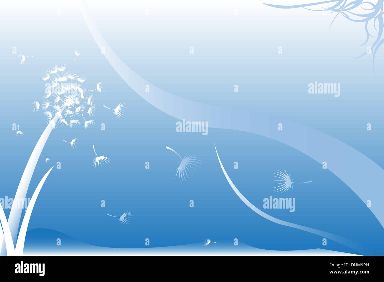 Dandelion vector vectors hi-res stock photography and images - Alamy