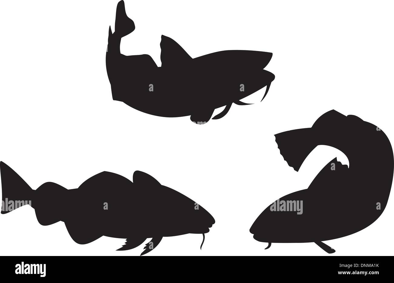 Illustration of an atlantic codfish done in retro style Stock Vector ...