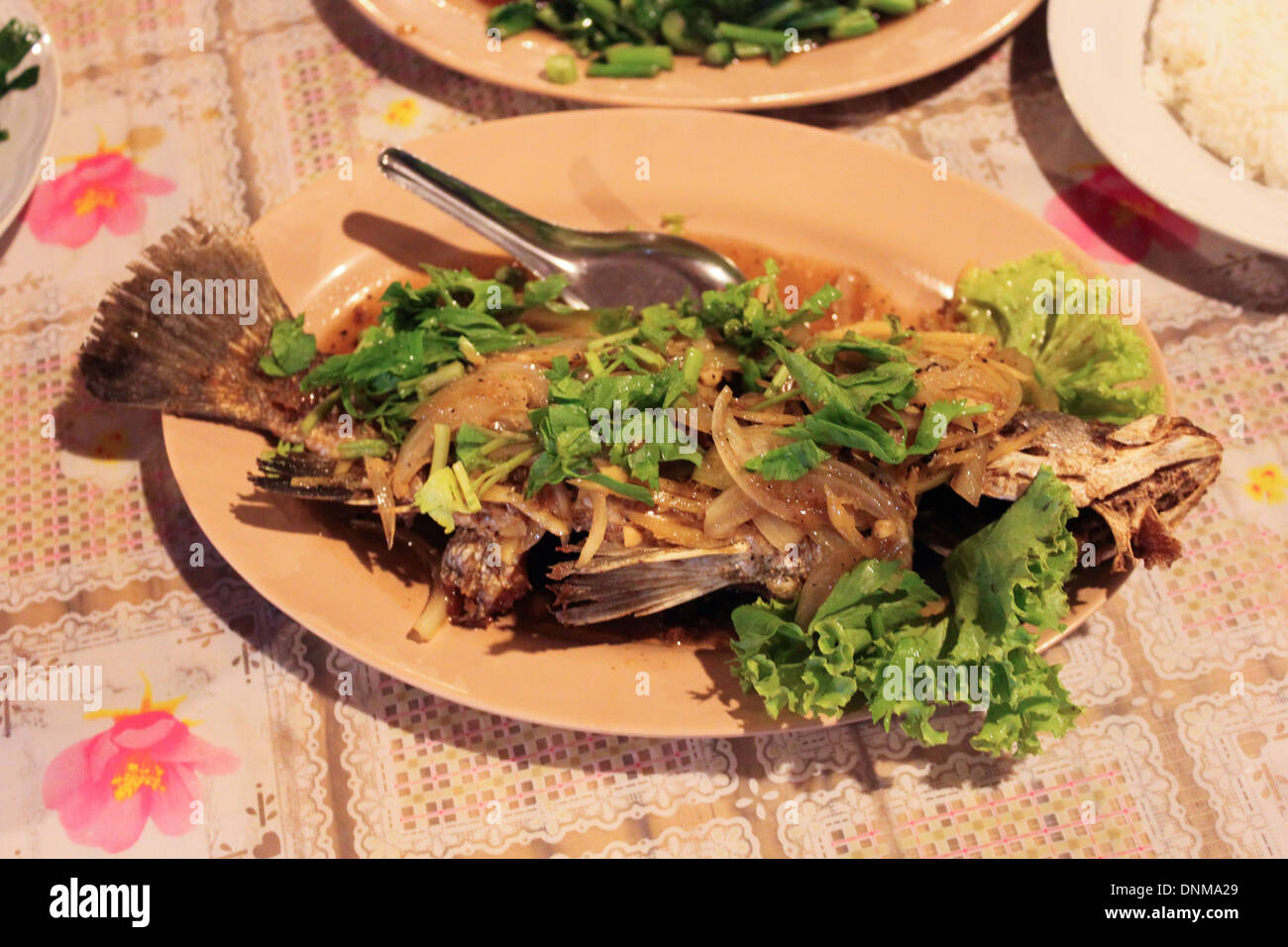 A photograph of a thai style fresh fish covered in green salad, served ...