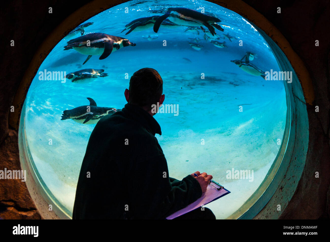 Zoo licence hi-res stock photography and images - Alamy