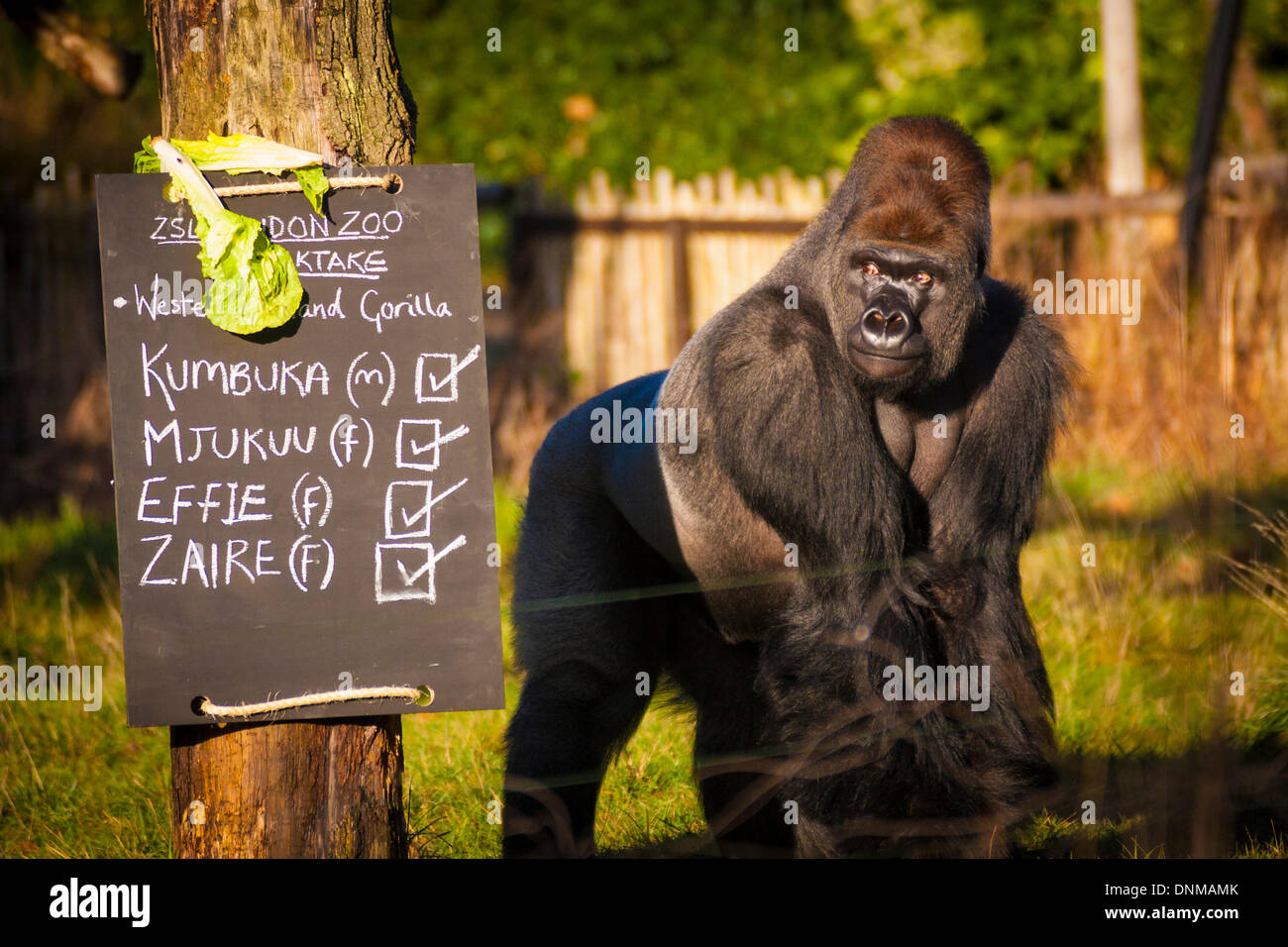 London zoo sign hi-res stock photography and images - Alamy