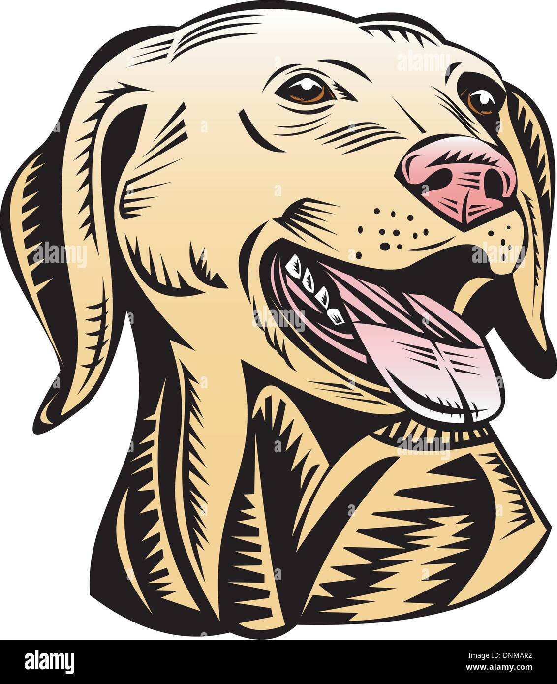 illustration of a golden labrador retriever dog head done in retro ...