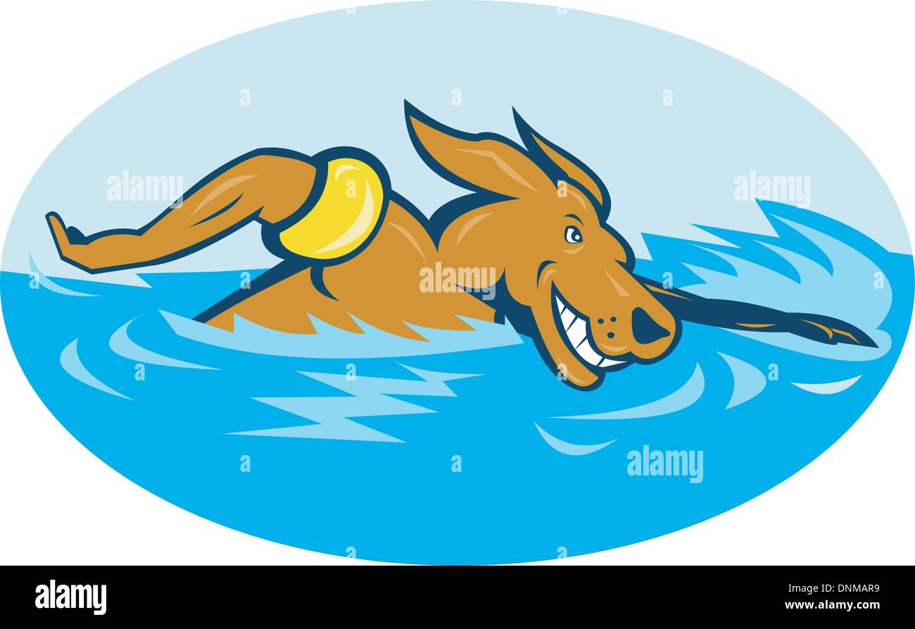 Canine swimming Stock Vector Images - Alamy