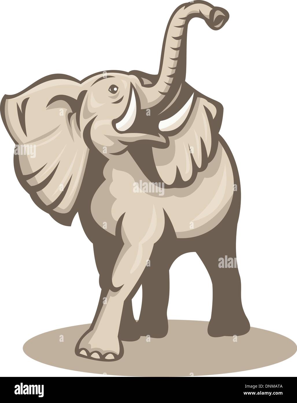 Elephant charging hi-res stock photography and images - Alamy