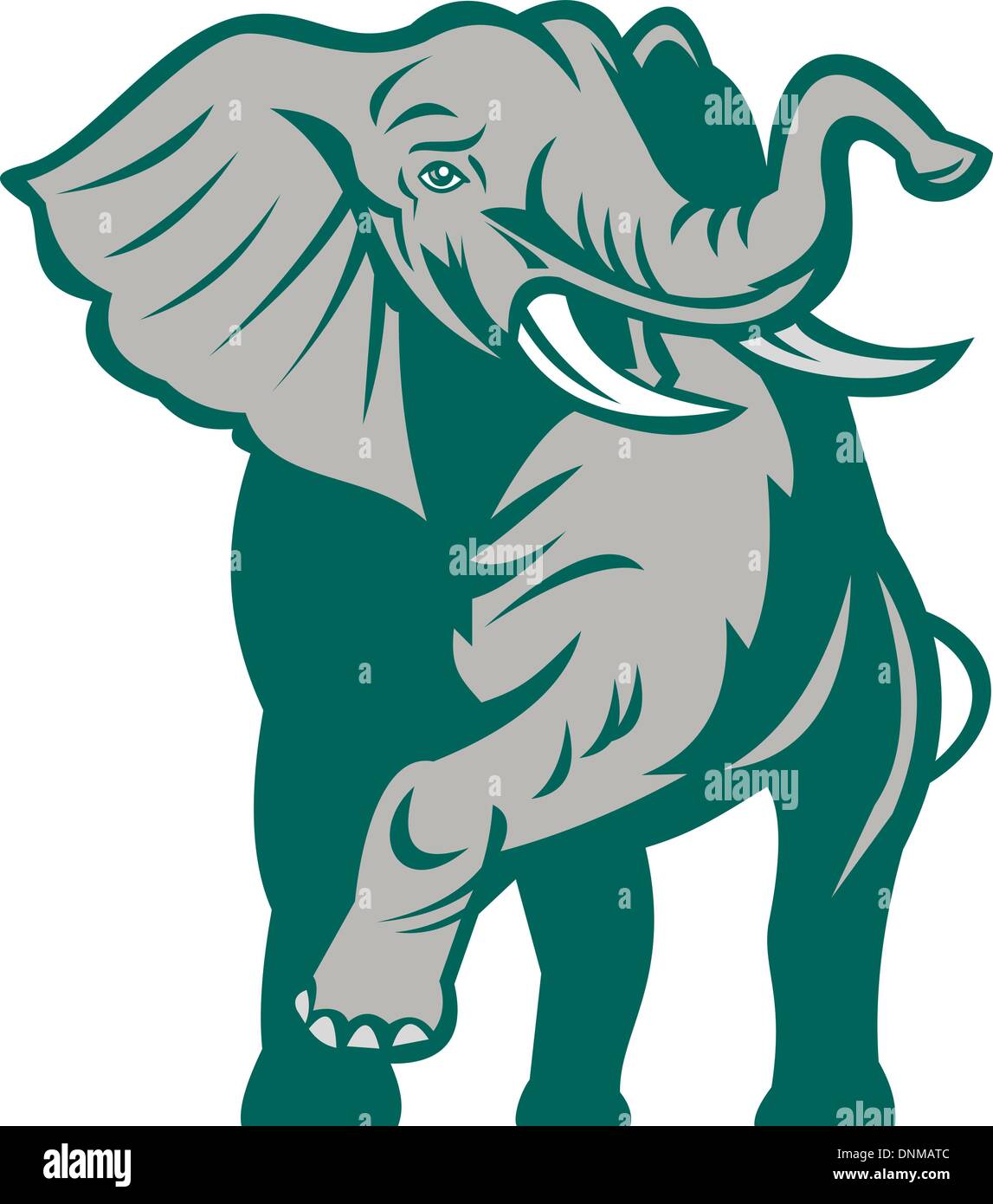 illustration of an african elephant charging attacking isolated on ...