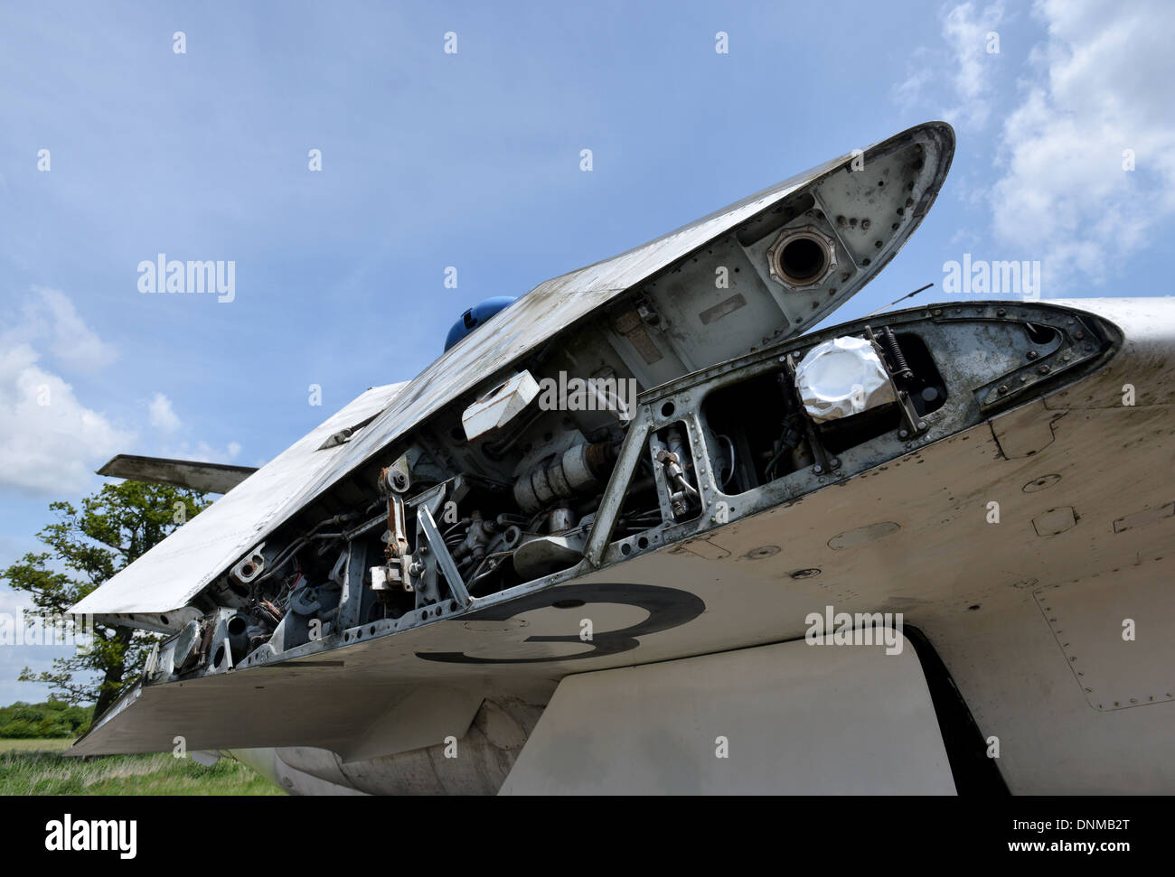 Folded wing hi-res stock photography and images - Alamy