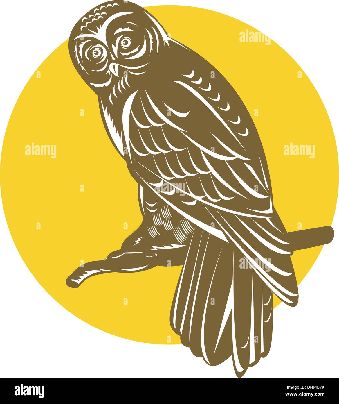 Owl perching on branch Stock Vector Images - Alamy