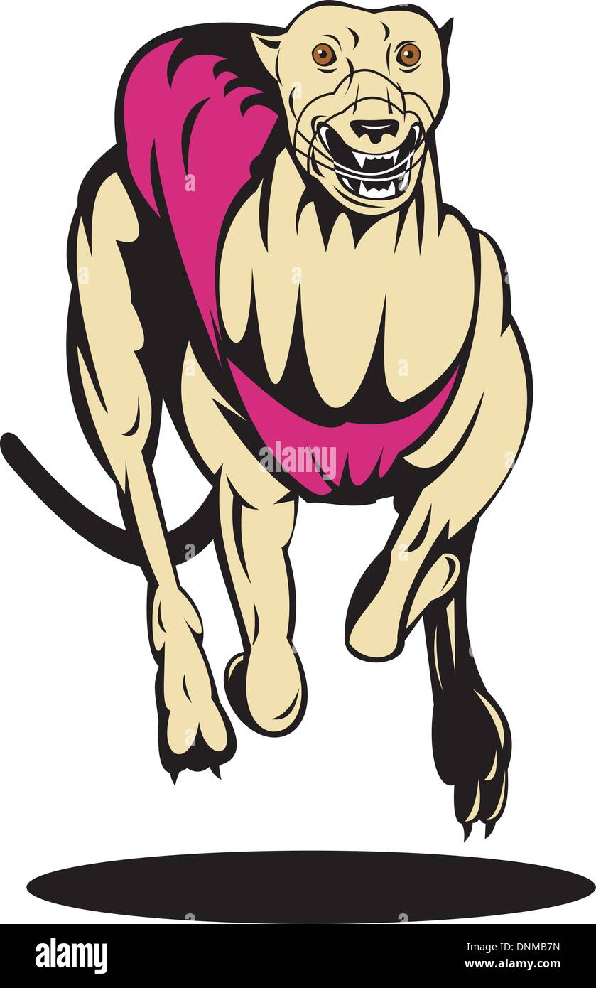 Greyhound running background Stock Vector Images - Alamy