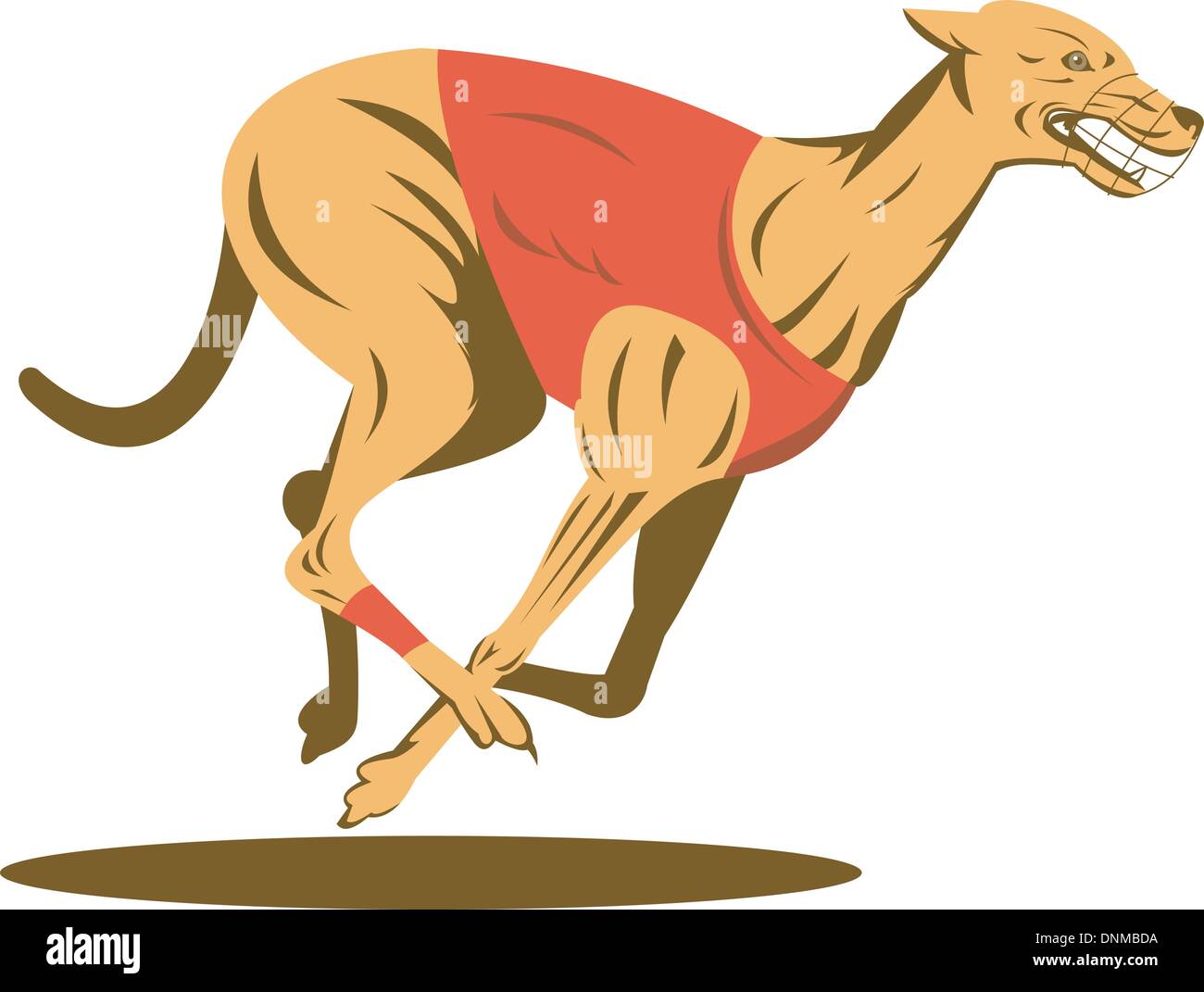 illustration of a greyhound dog racing on isolated white background ...
