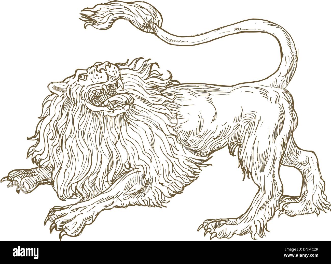 How To Draw A Lion Roaring From The Side