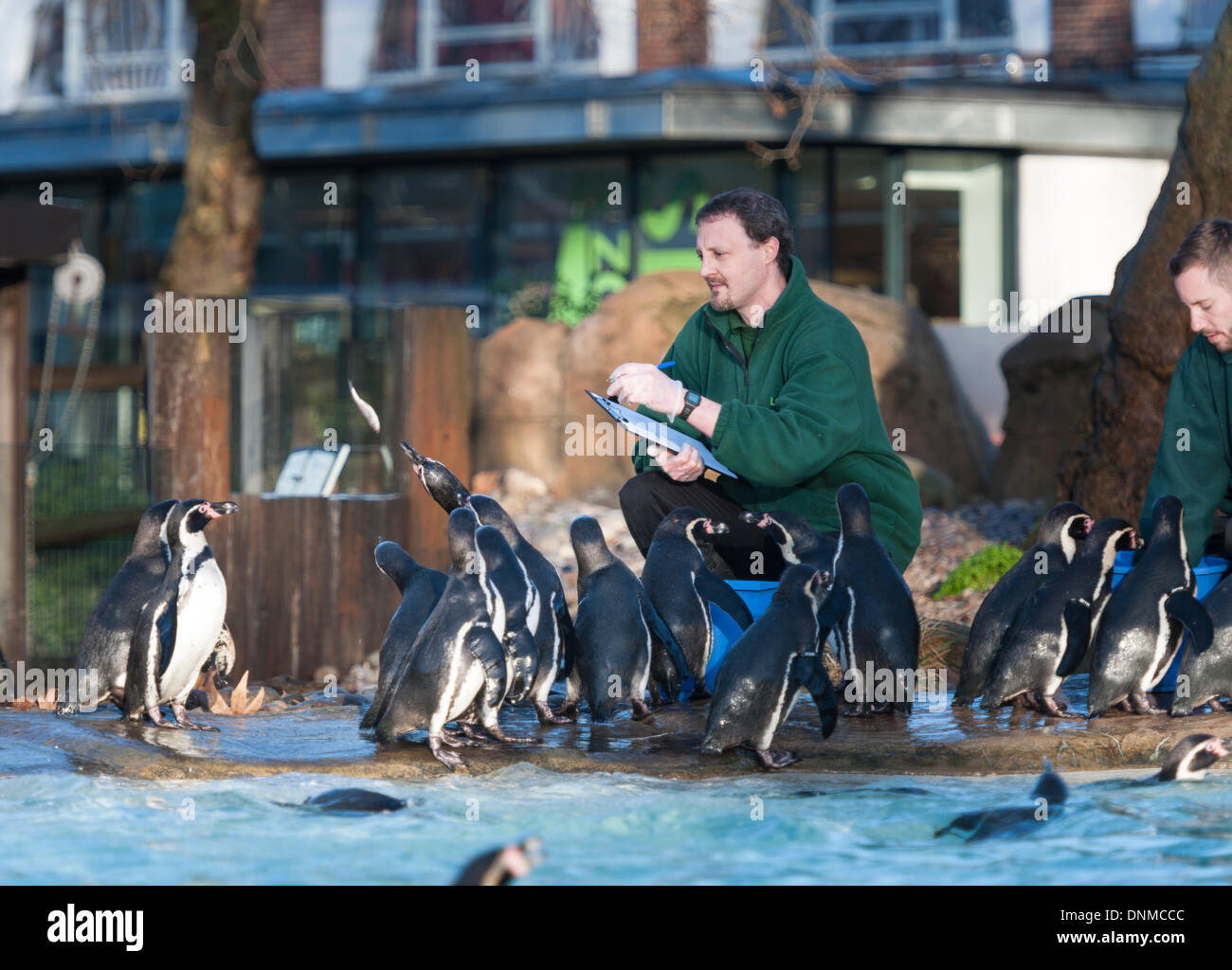London zoo fish hi-res stock photography and images - Alamy