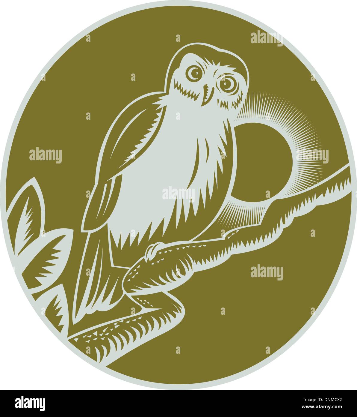 illustration of an owl perched on a tree branch Stock Vector Image ...