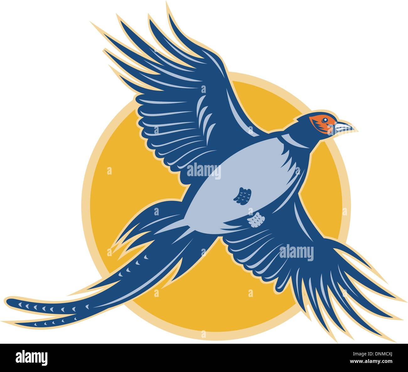 Pheasant Stock Vector Images - Alamy