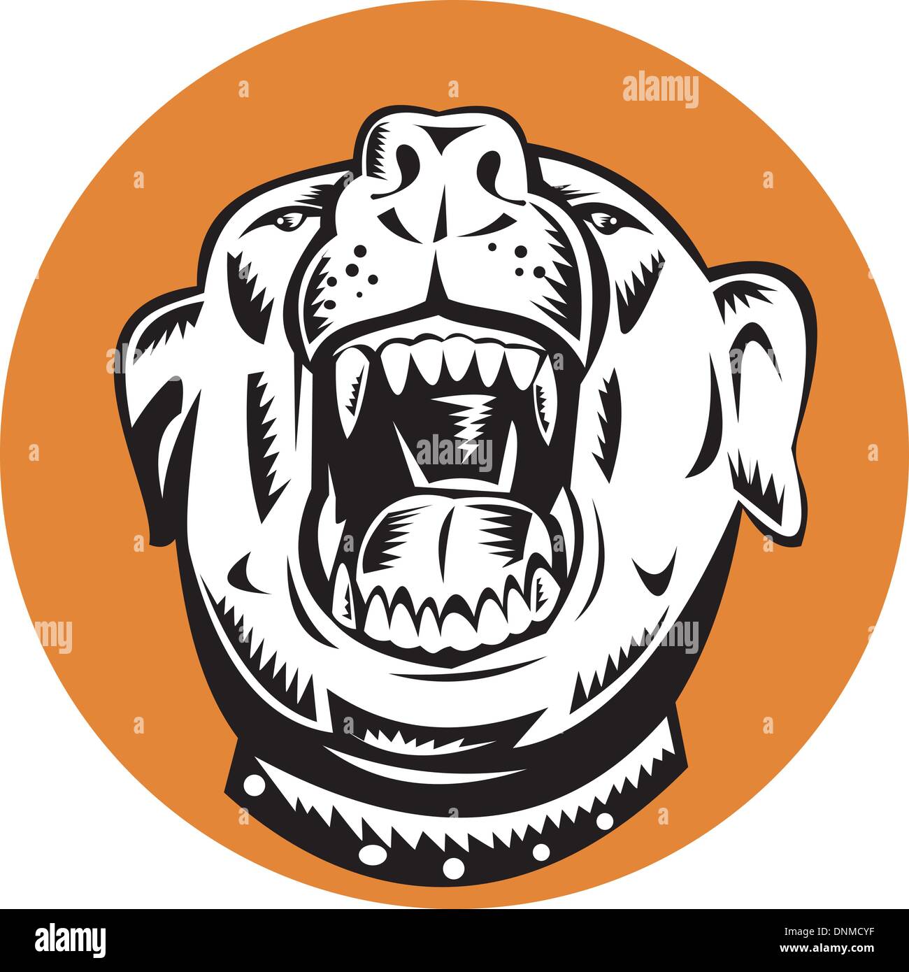 Illustration of an angry barking mongrel dog on white background Stock ...