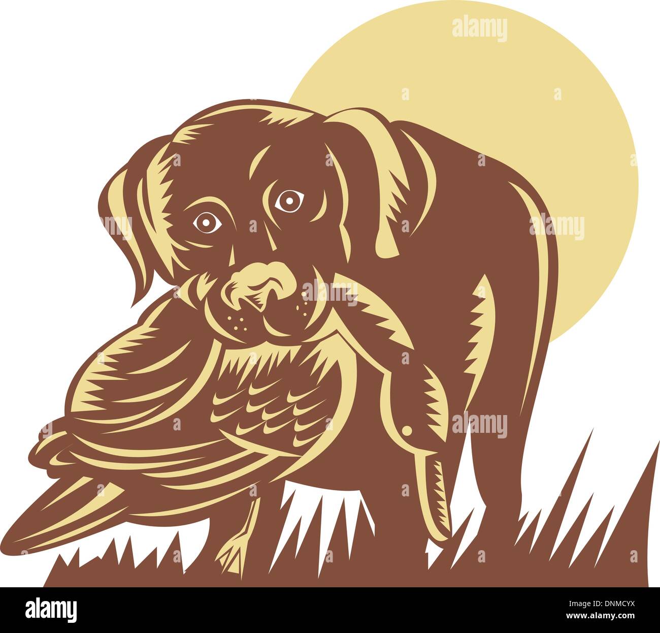 illustration of a trained gun dog retrieving a duck Stock Vector Image ...
