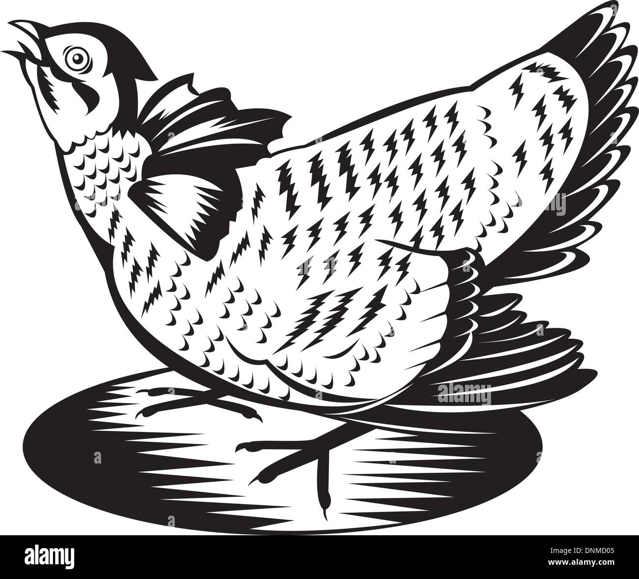 Illustration of a prairie chicken hen retro woodcut style Stock Vector ...