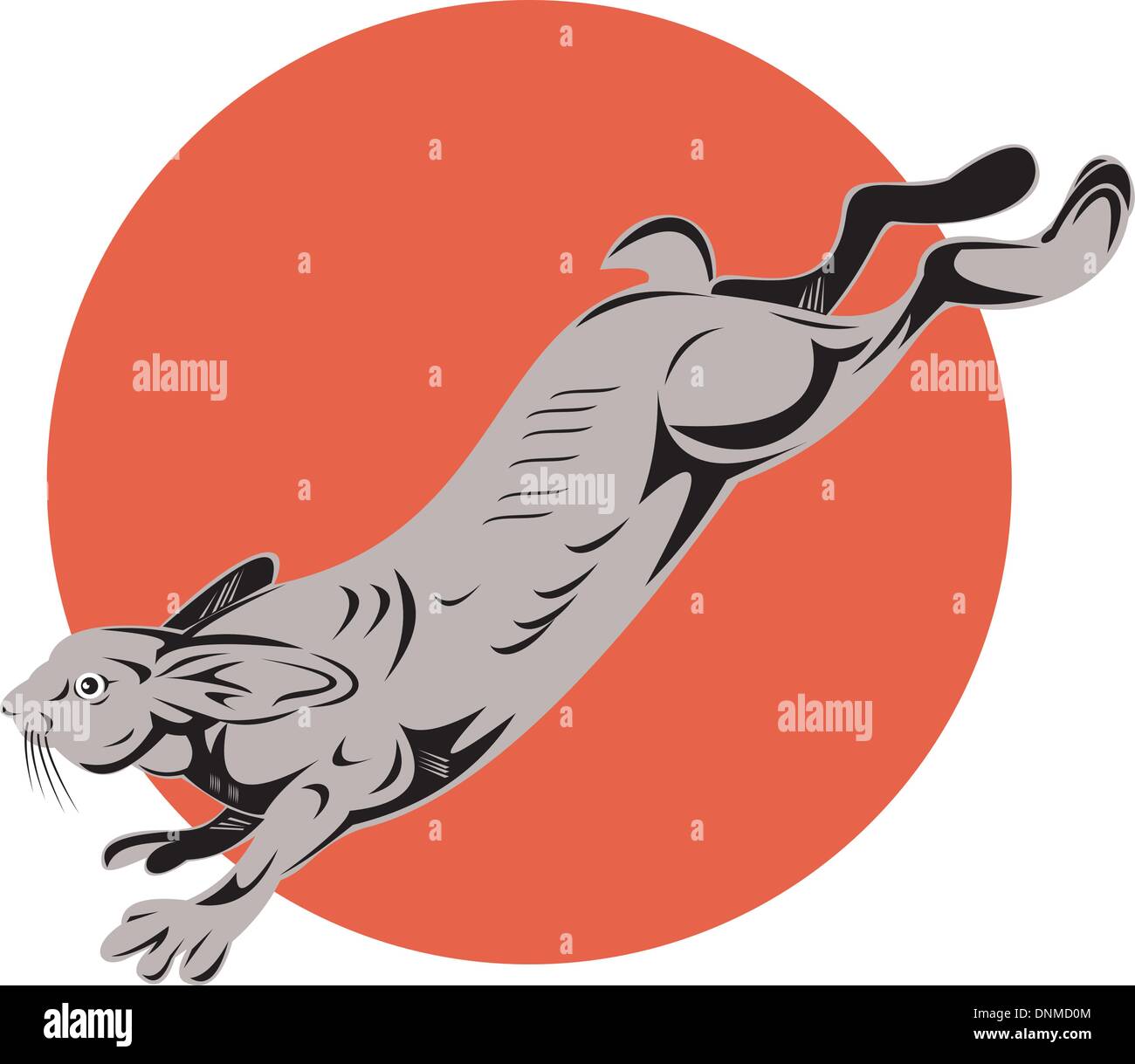 Illustration of a jack rabbit jumping retro Stock Vector Image & Art ...