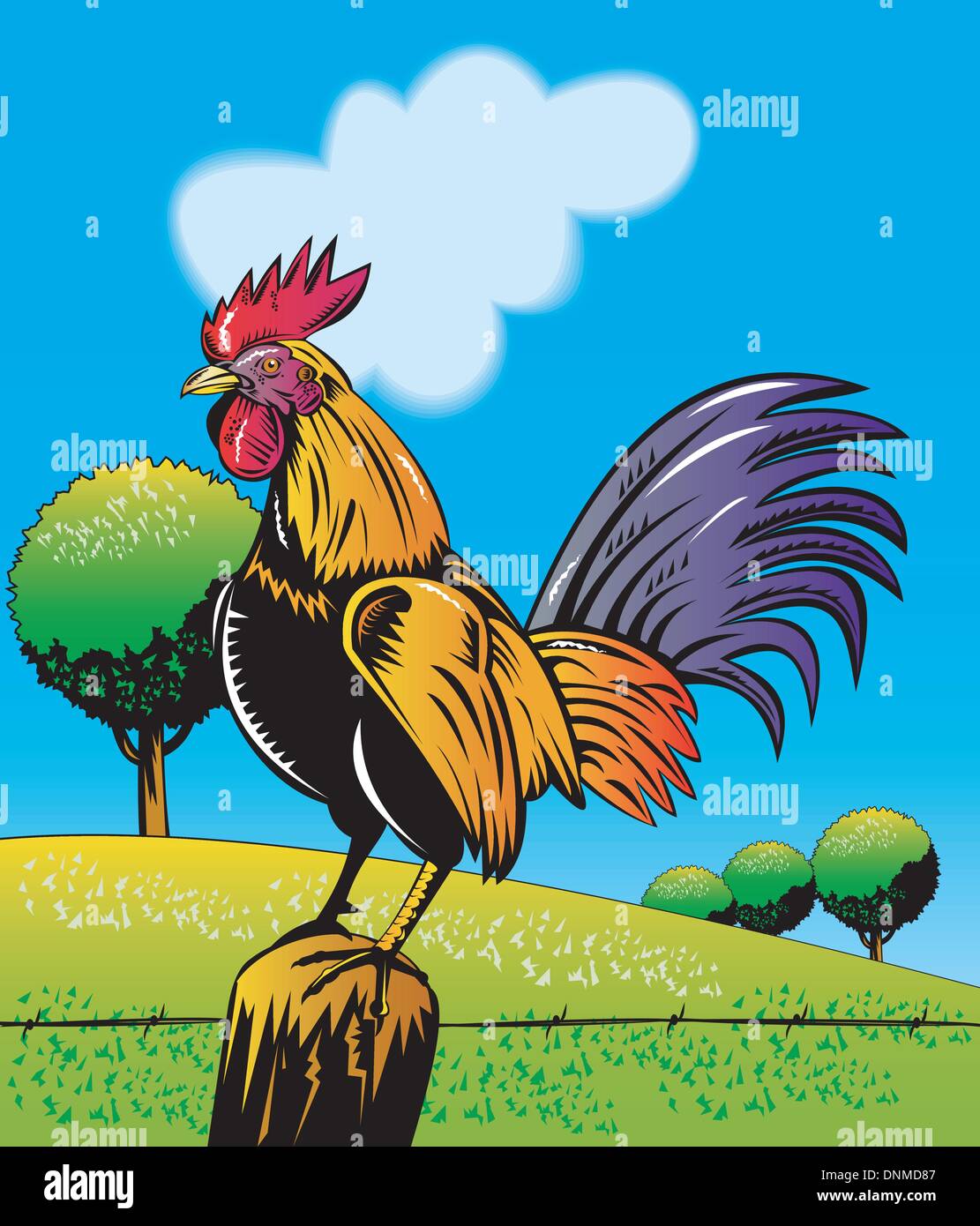 Chicken On A Fence Post Drawing Amazon.com: GUTE Chicken Sitting On