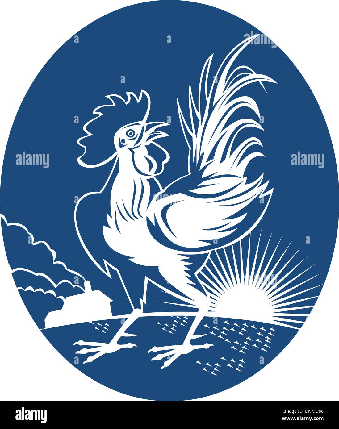 illustration of a Rooster cockerel crowing with sunburst and house ...
