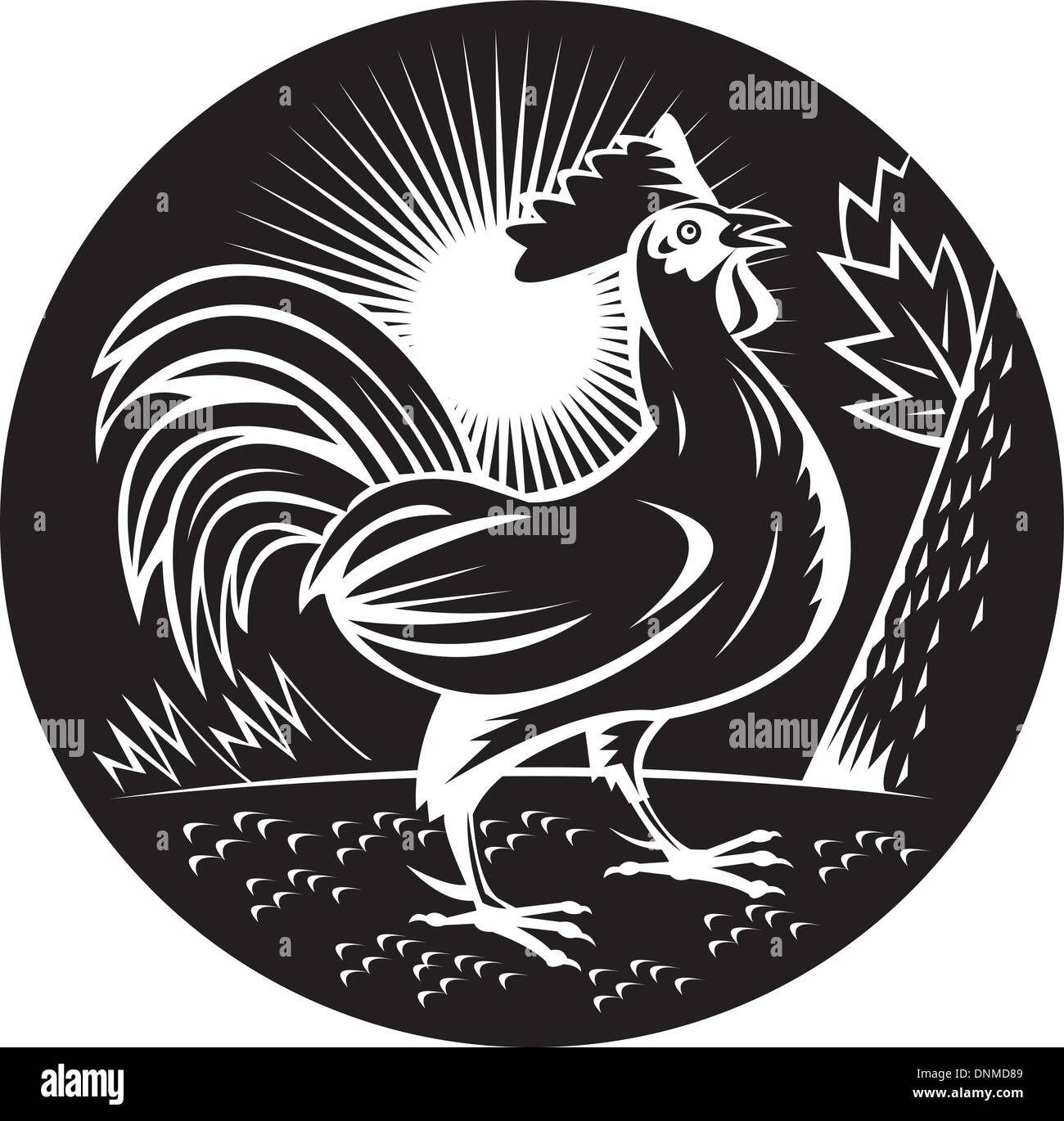 illustration of a Rooster cockerel crowing done in woodcut style and in ...