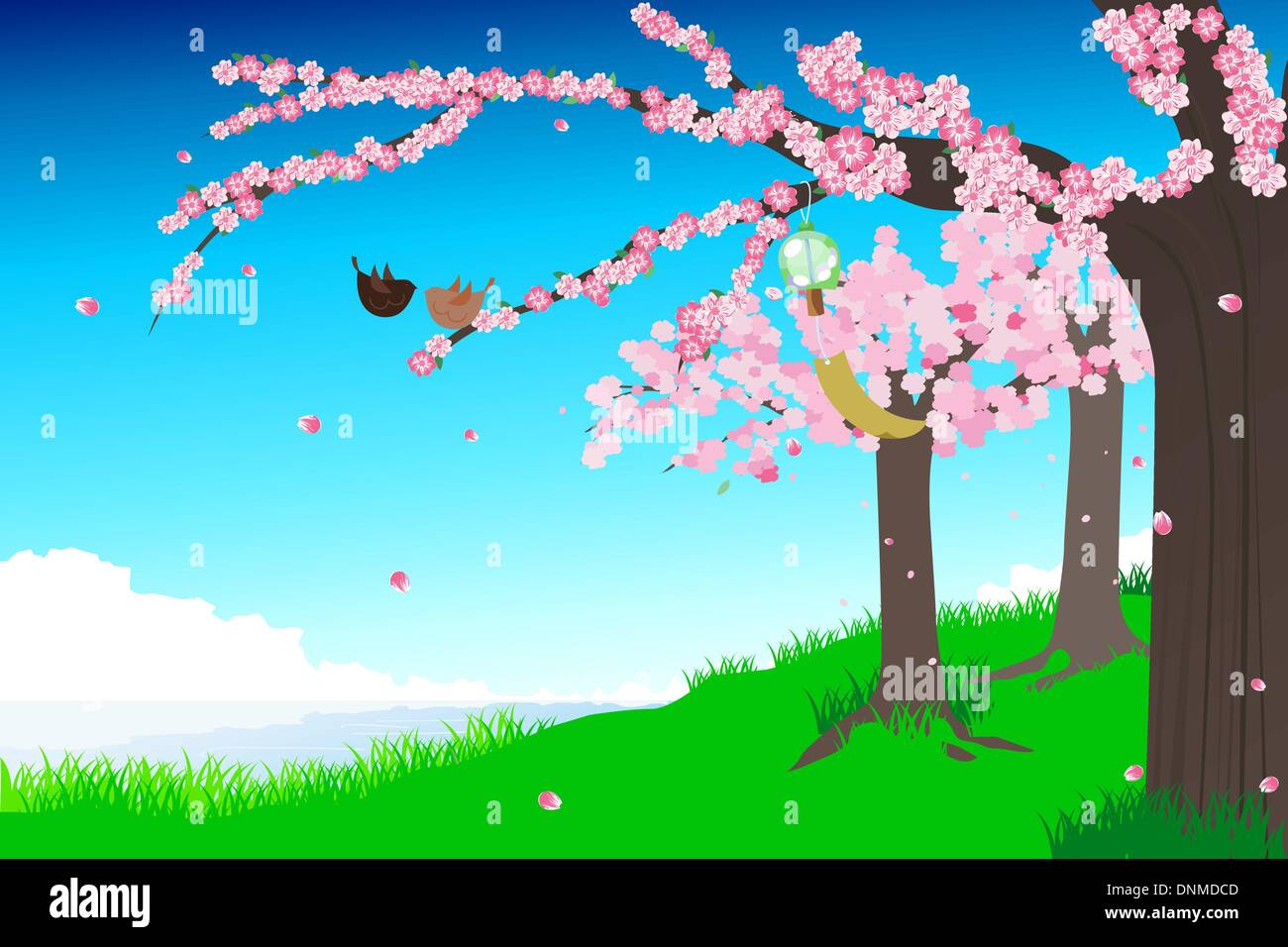 A vector illustration of a spring cherry blossom Stock Vector Image ...