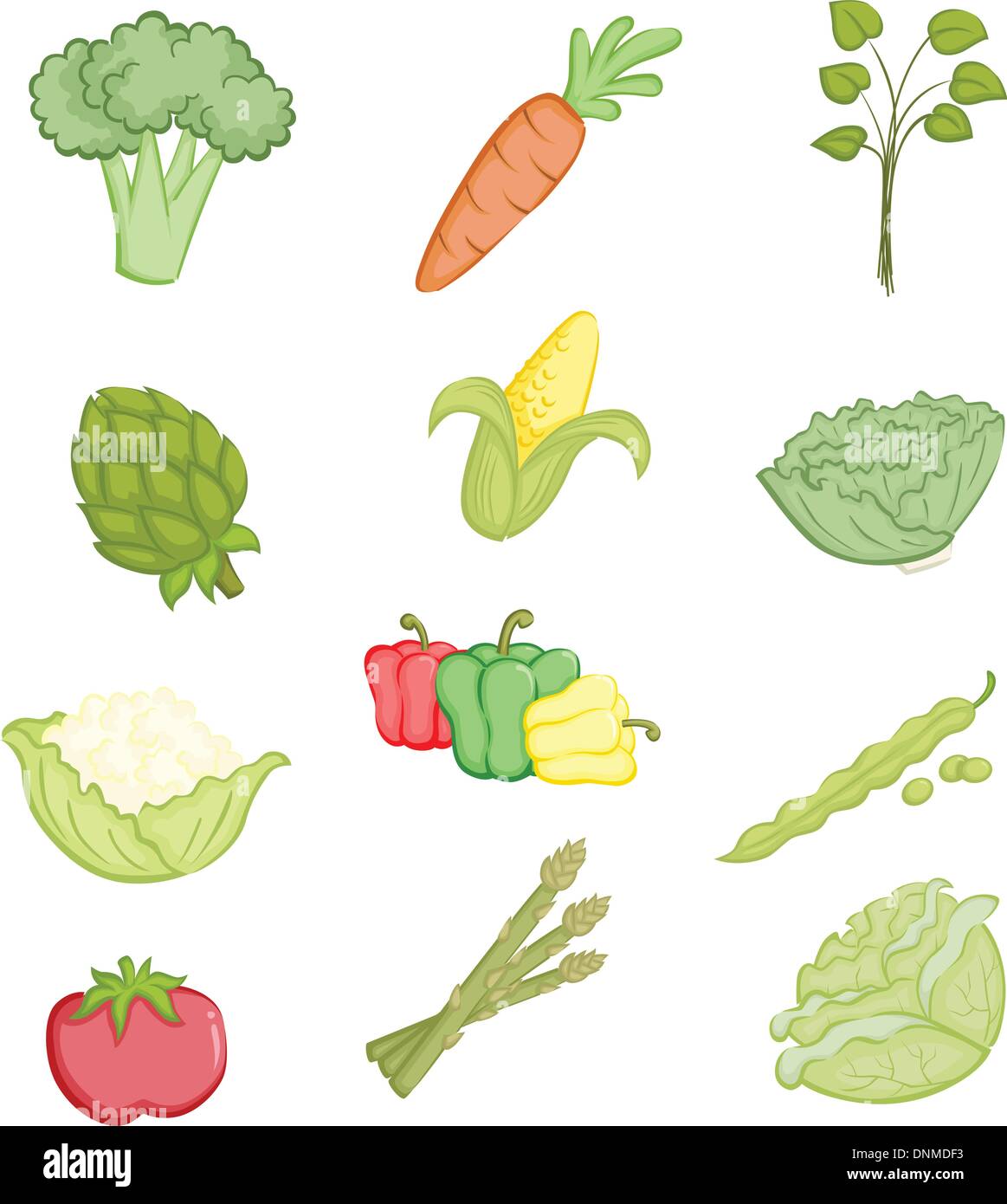 Vegetables Stock Vector Images - Alamy