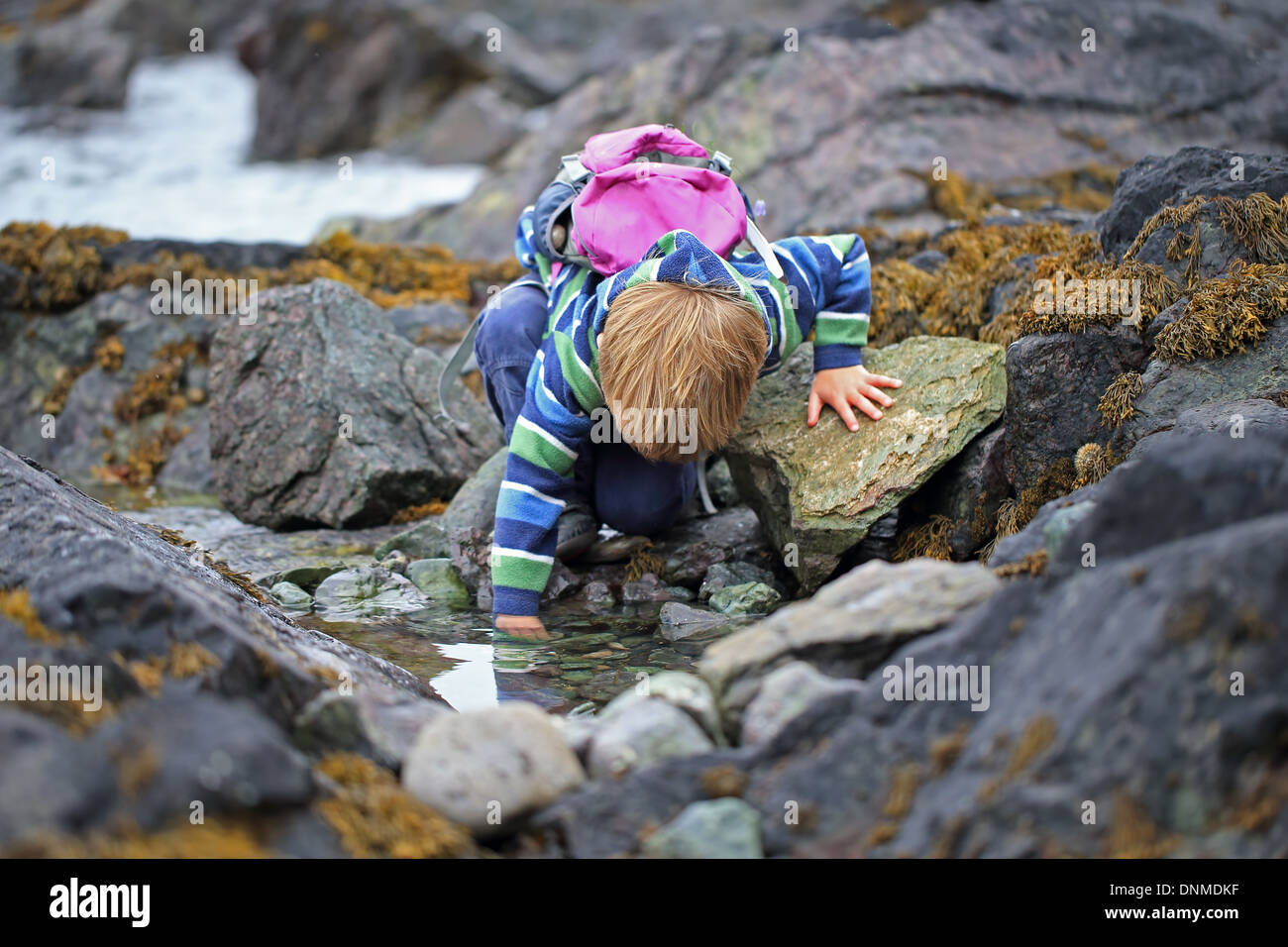 Rock pooling hi-res stock photography and images - Alamy