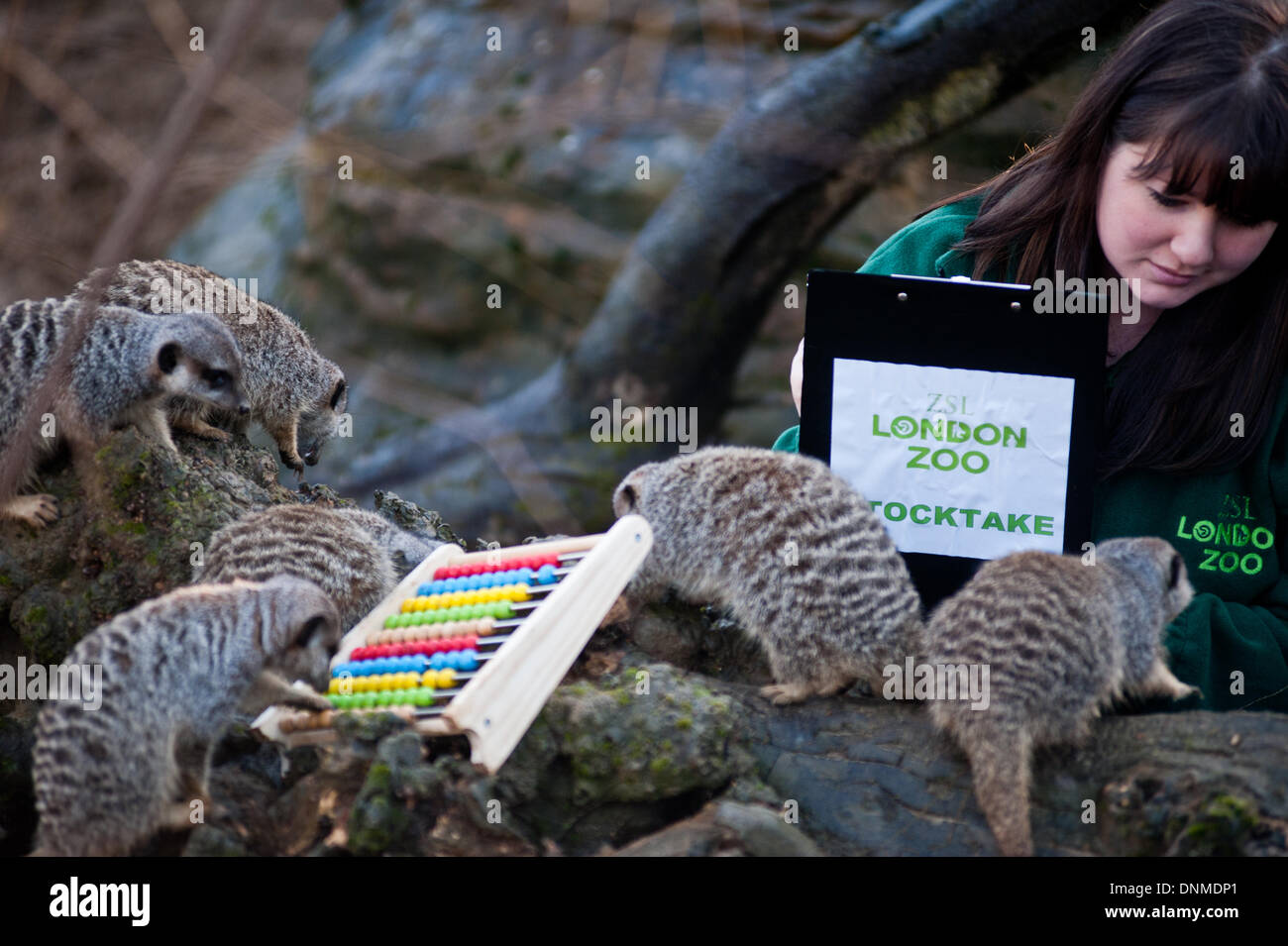 Zoo london animals bird hi-res stock photography and images - Alamy