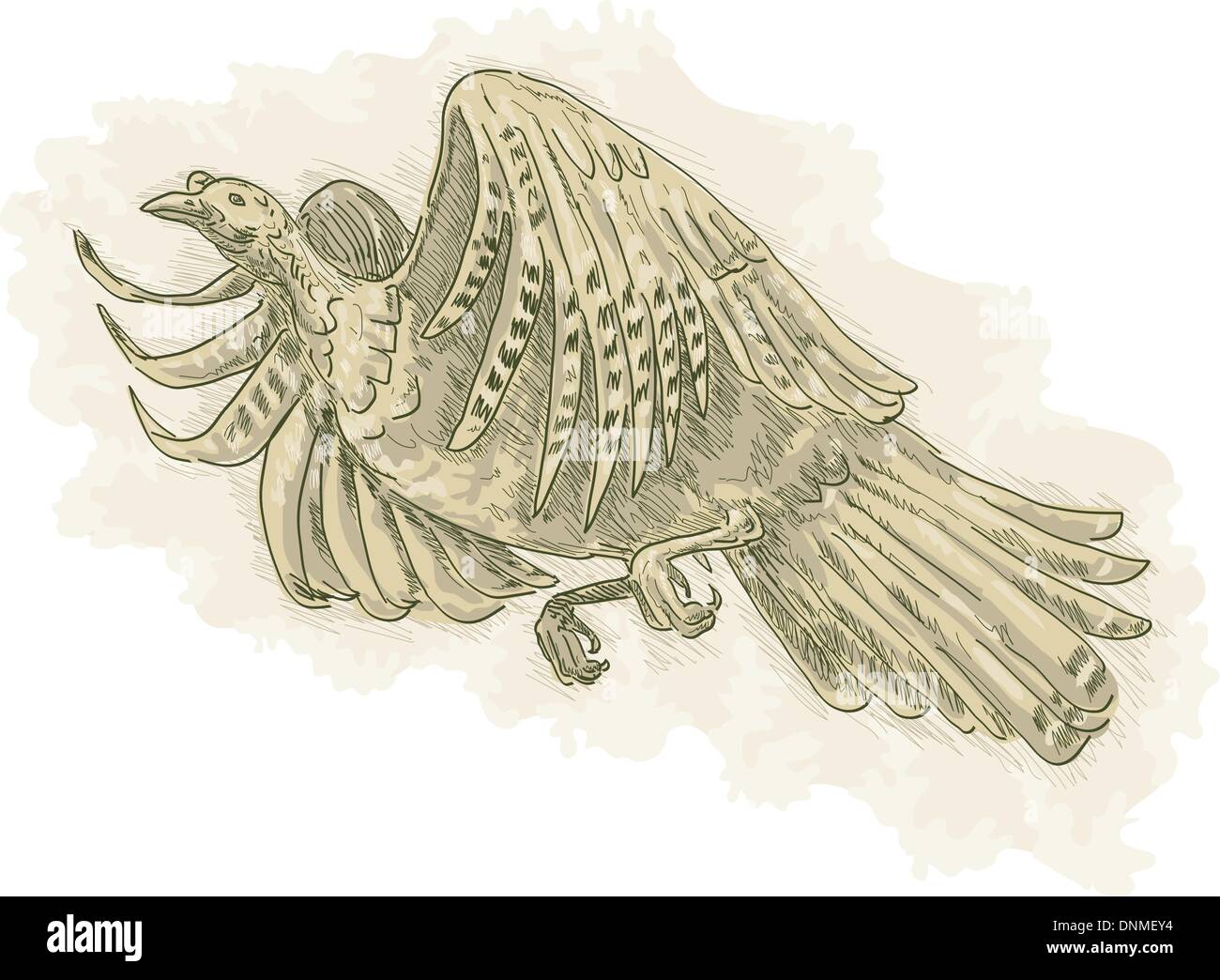 hand sketched illustration of a Wild turkey flying Stock Vector Image ...