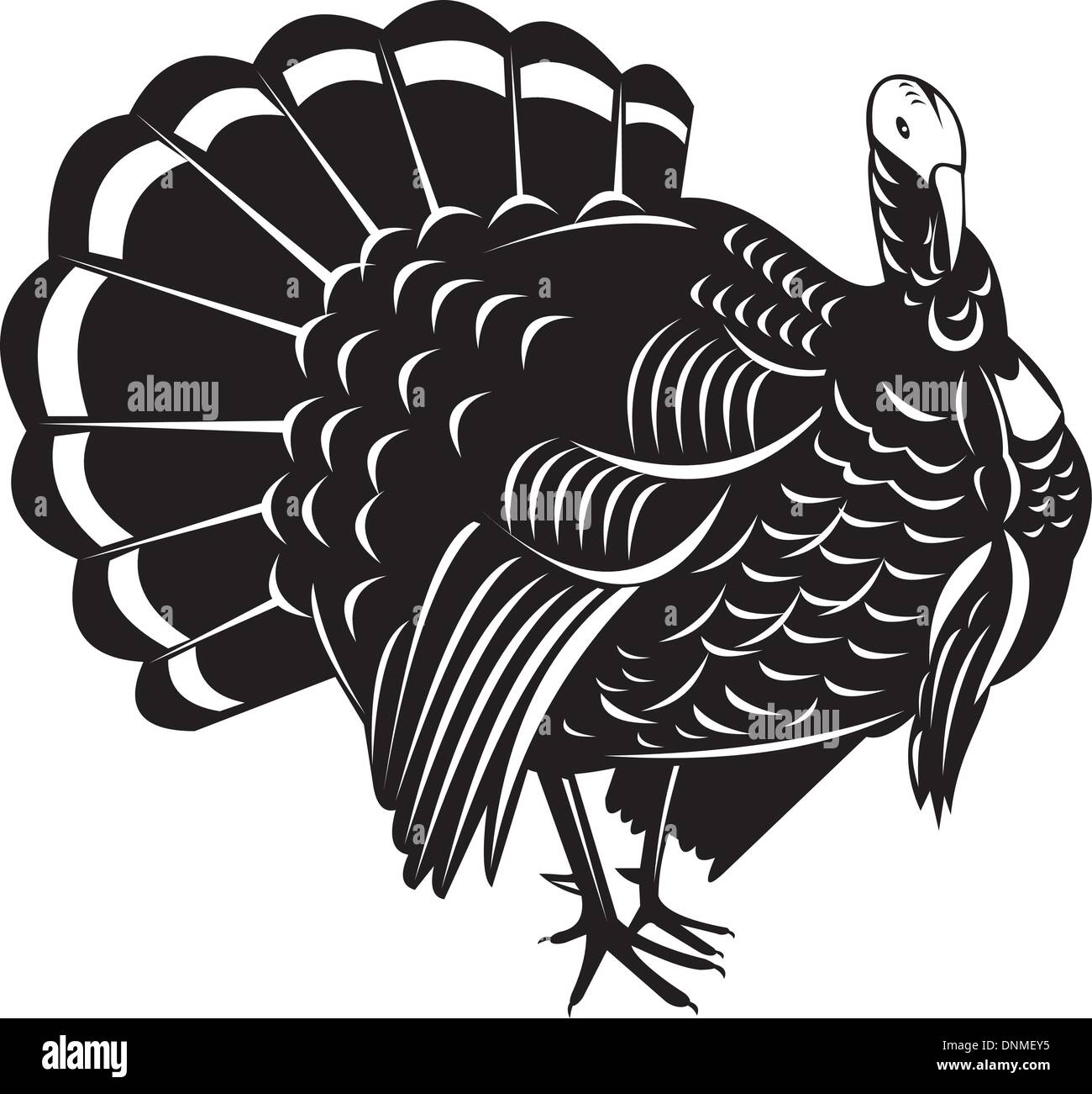 Flying Turkey Clipart