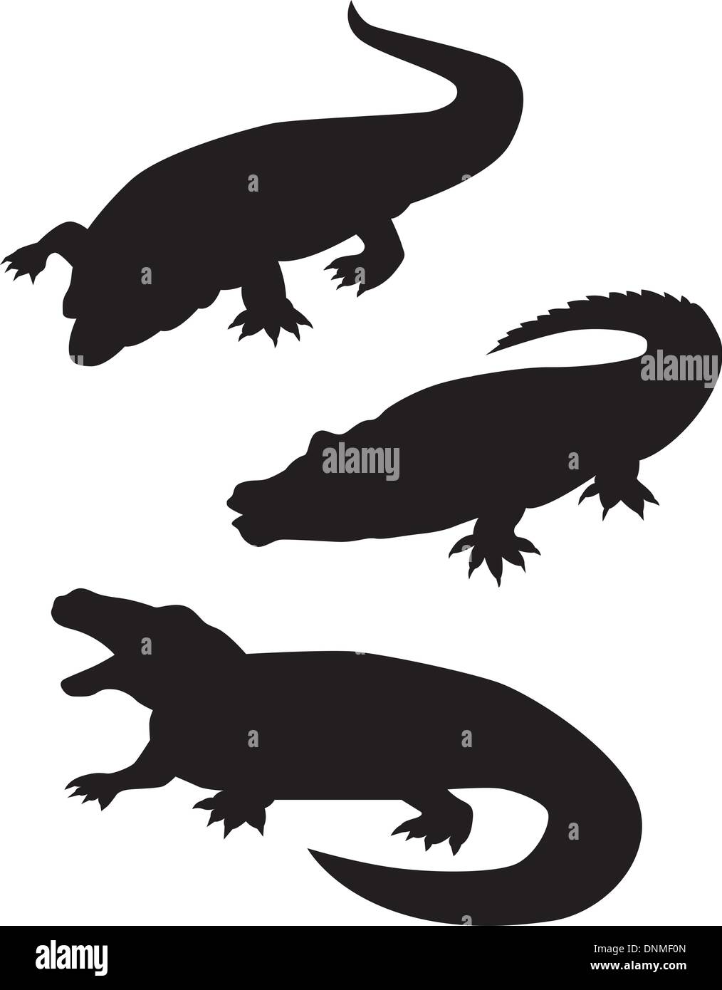 Illustration of different reptiles isolated on a white background Stock ...