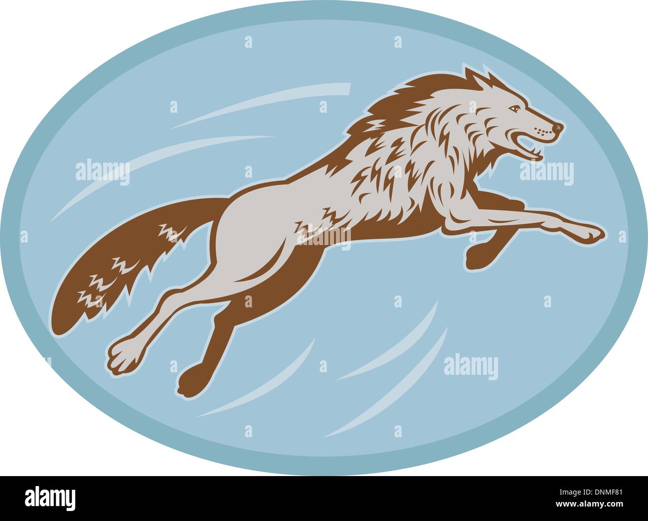 illustration of a Gray wolf jumping and attacking viewed from the side ...