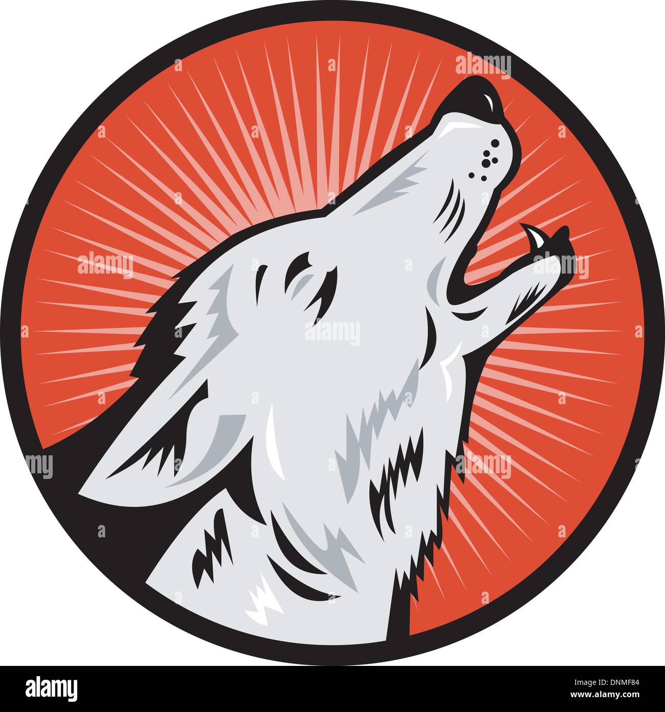 Wolf Snarling Side View Drawing