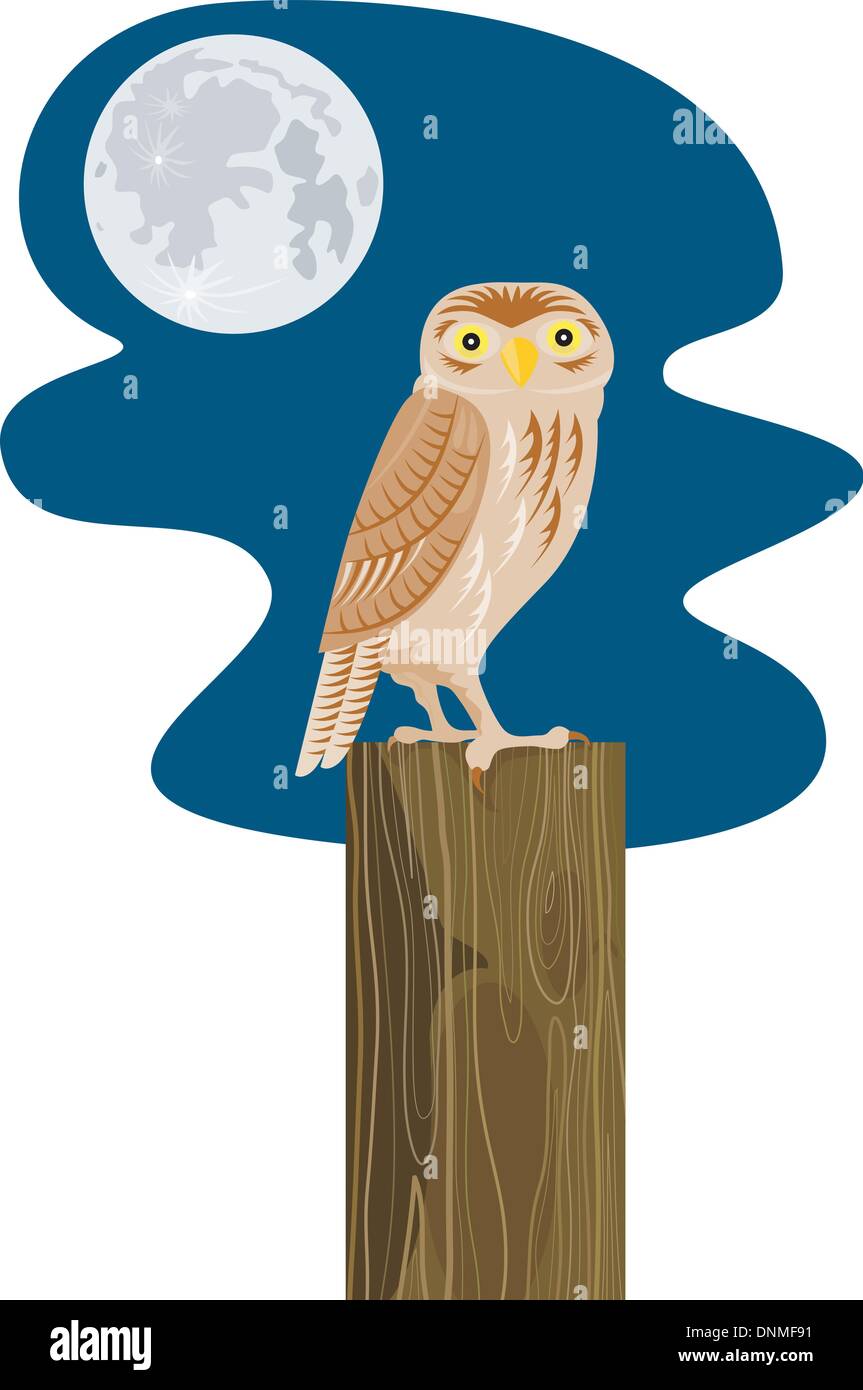 Mini Owl Moon Lesson