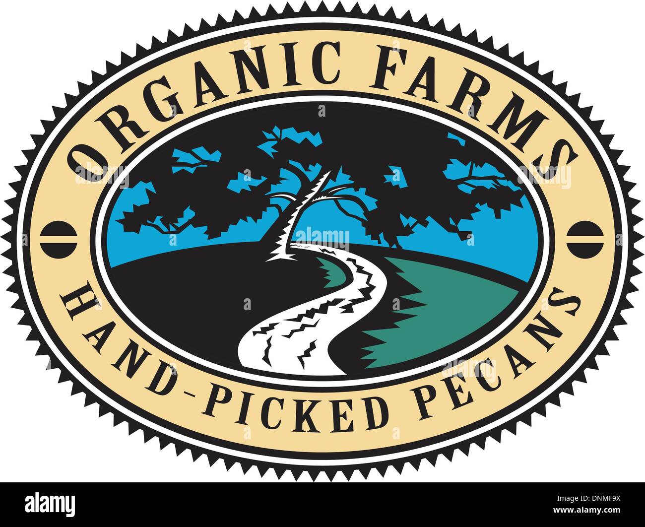 Pecan tree orchard Stock Vector Images - Alamy