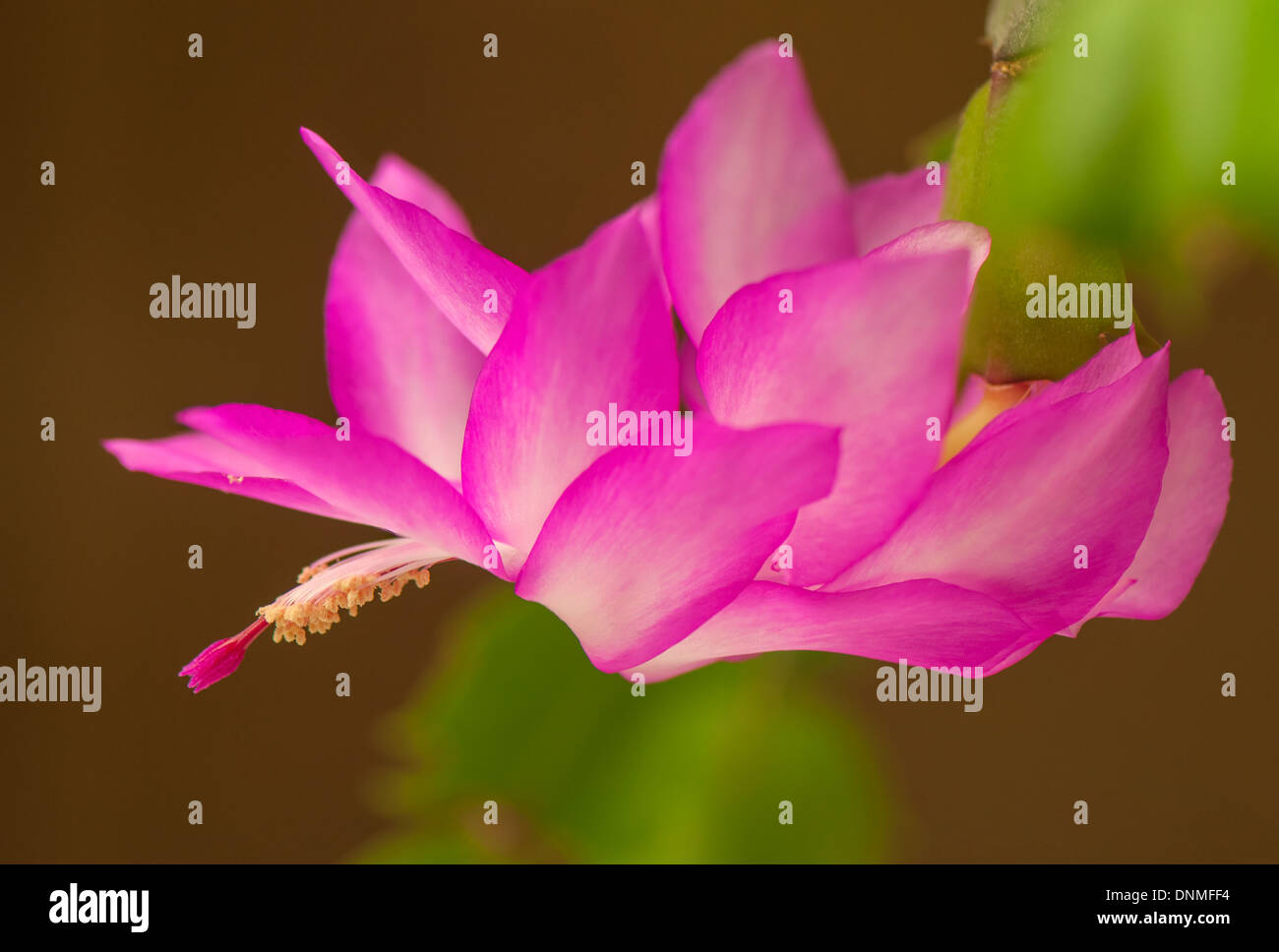 Truncate background hi-res stock photography and images - Alamy