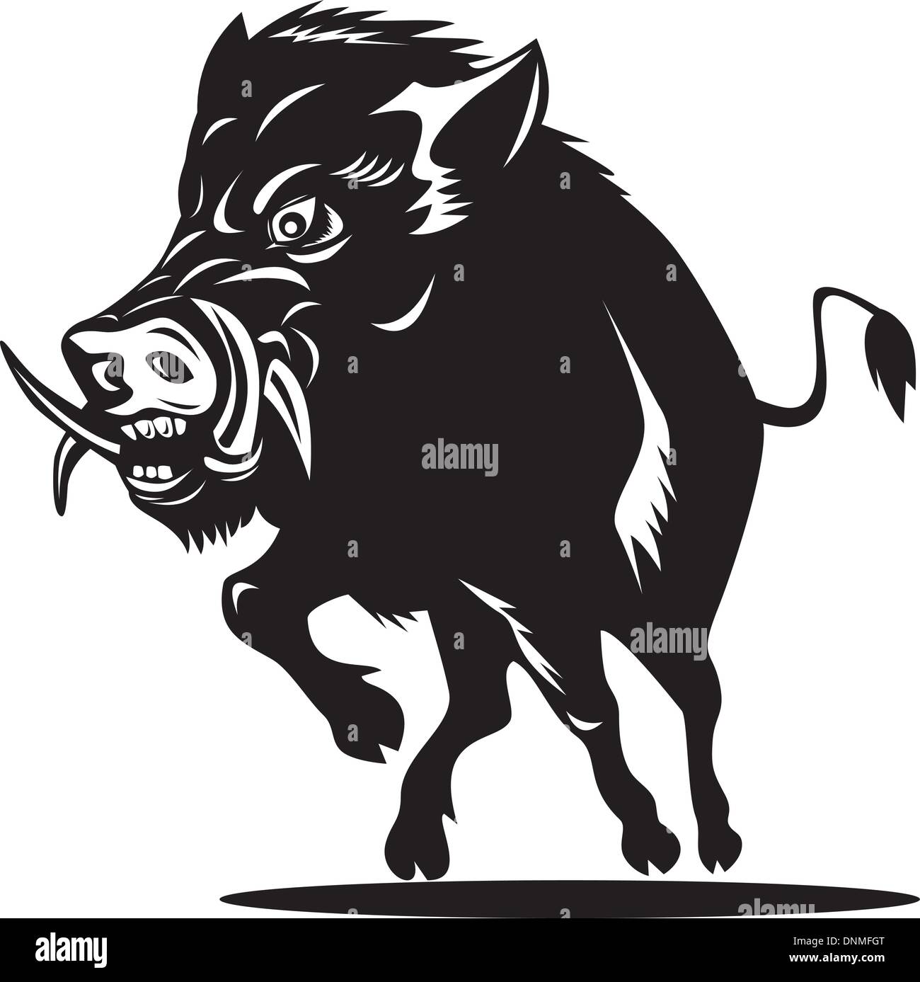 Razorback boar hi-res stock photography and images - Alamy