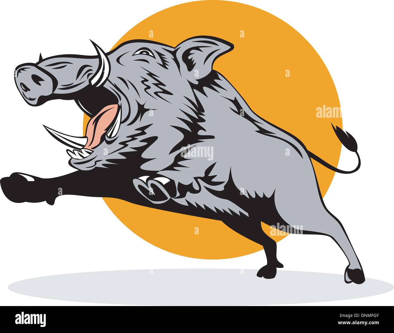 Illustration of a wild pig boar razorback jumping on isolated ...