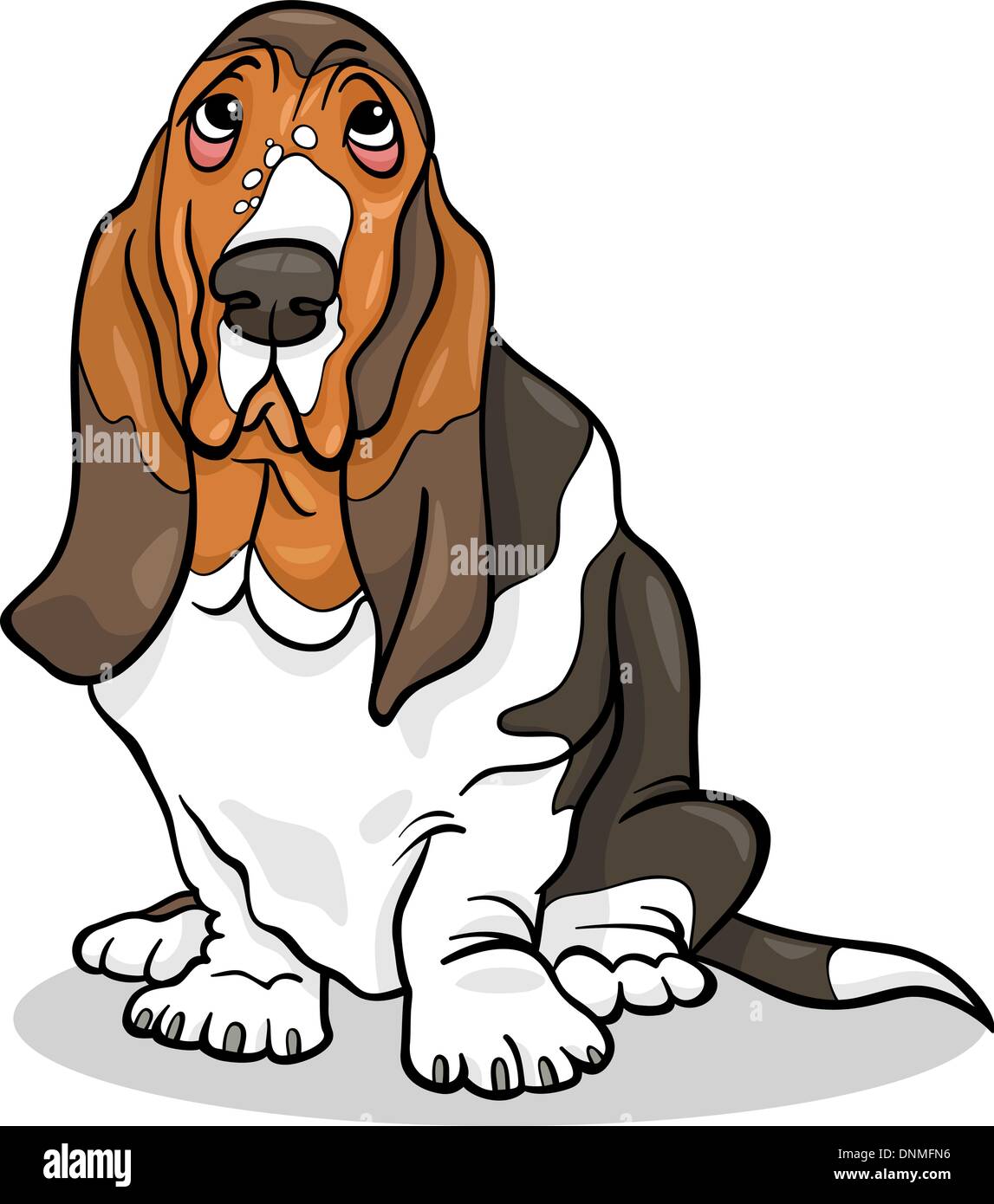 Cartoon Illustration of Cute Basset Hound Purebred Dog Stock Vector ...