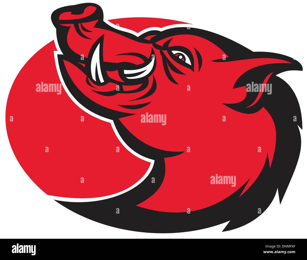 illustration of a razorback wild pig hog boar head with big tusk facing ...