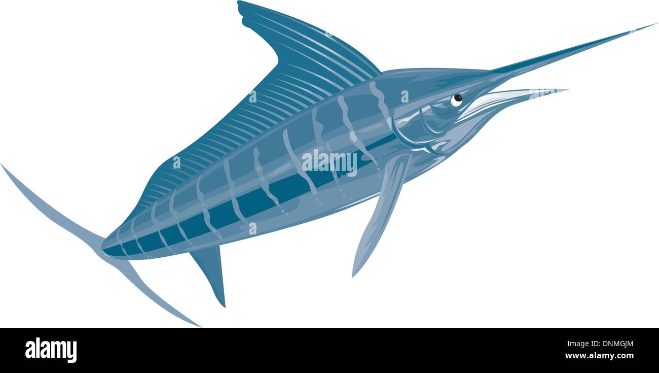 Sailfish swordfish Stock Vector Images - Alamy