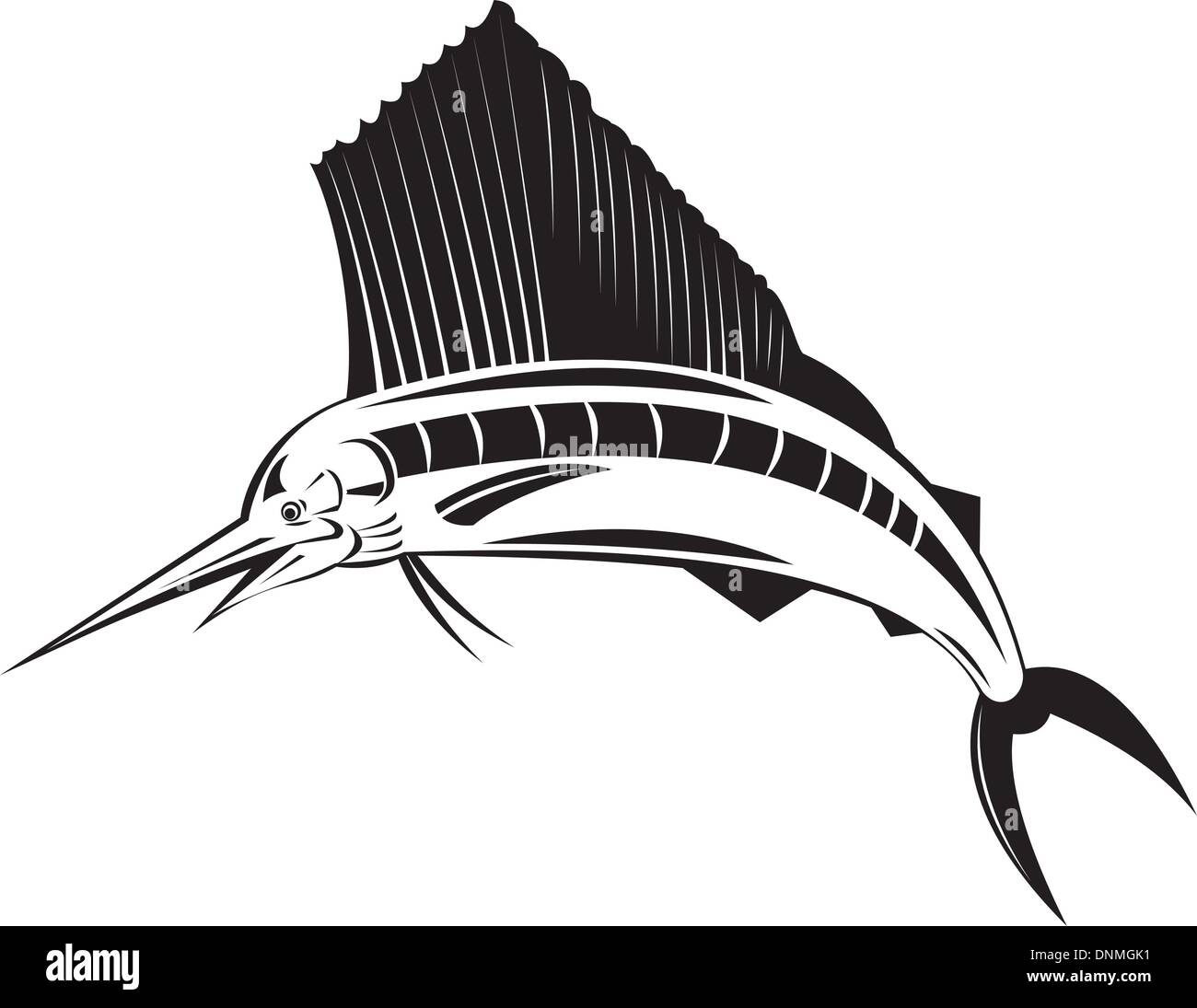 Illustration of a sailfish fish jumping Stock Vector Image & Art - Alamy