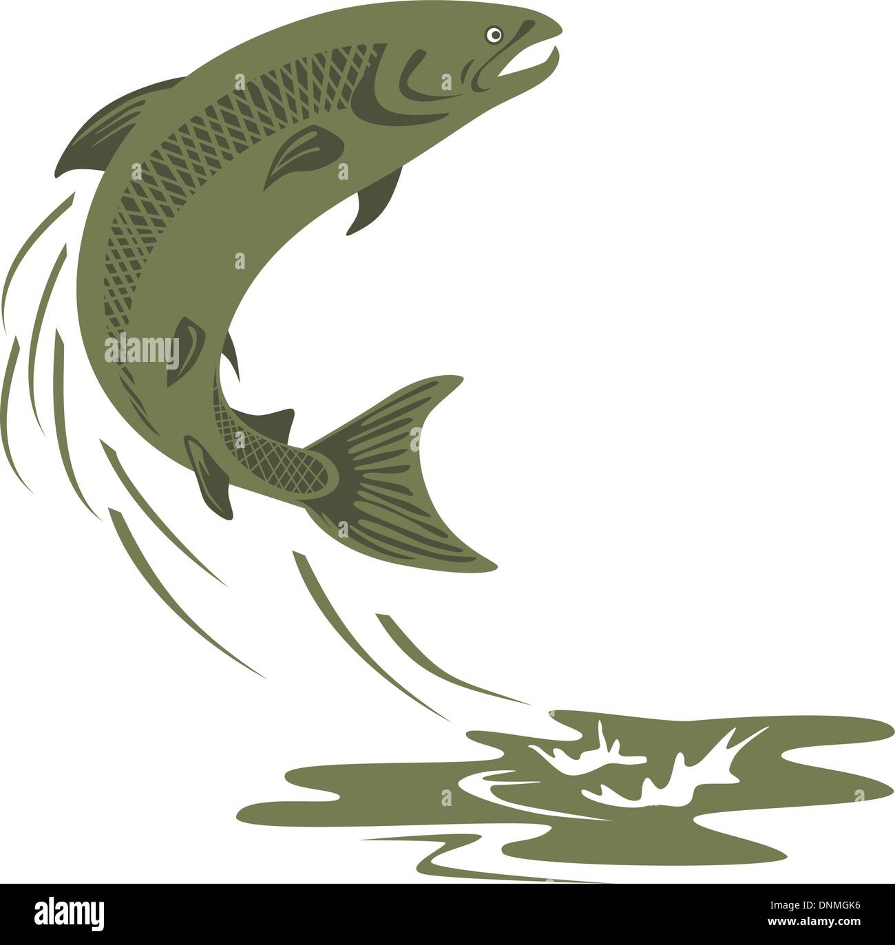 Illustration of a trout fish done in retro style Stock Vector Image ...