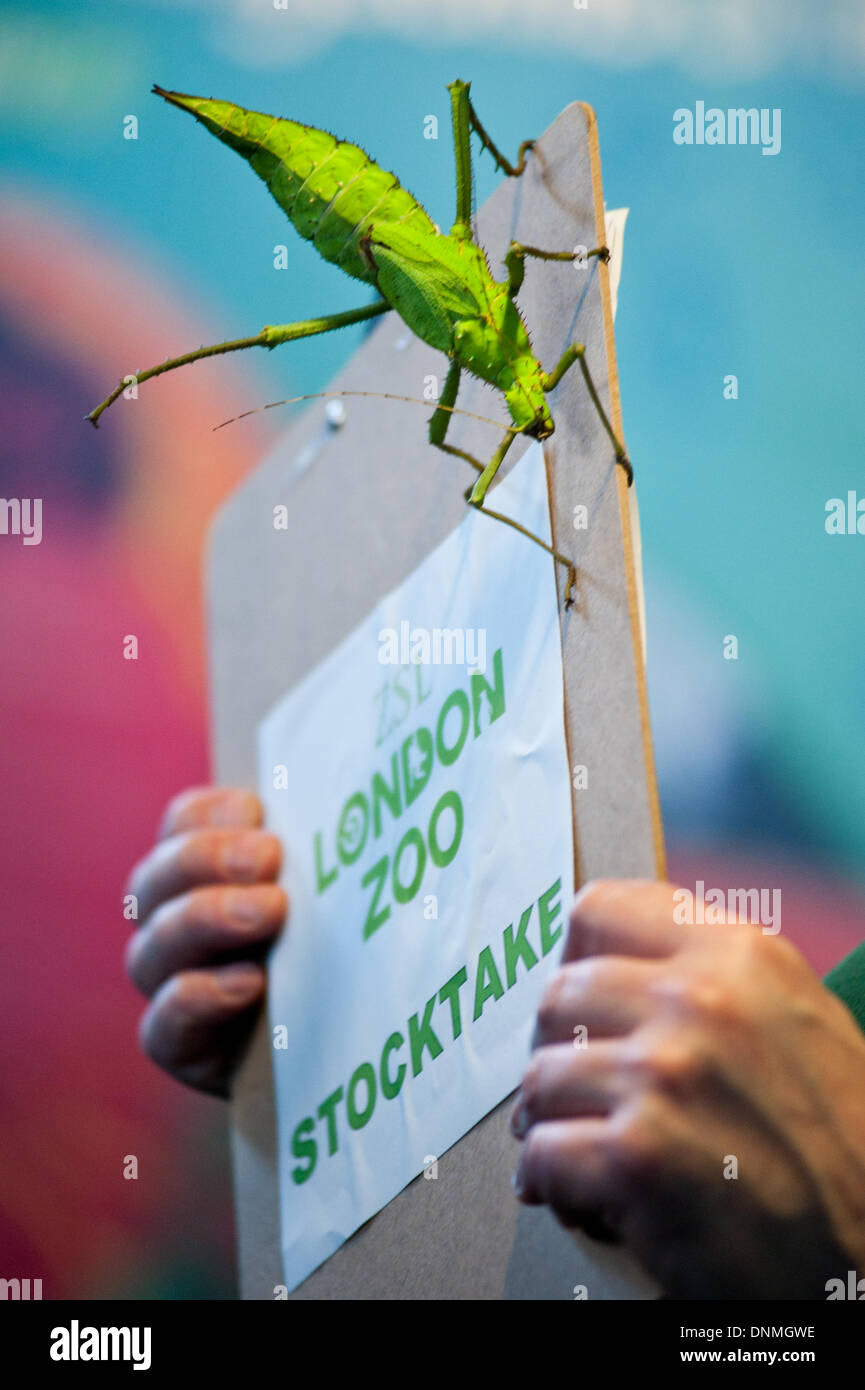 Shared stick hi-res stock photography and images - Alamy