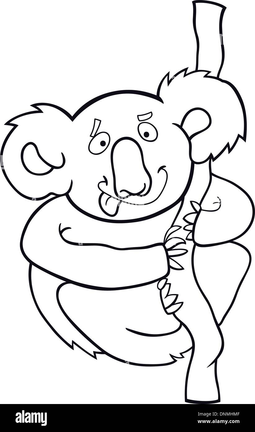 Australian Koala Drawing