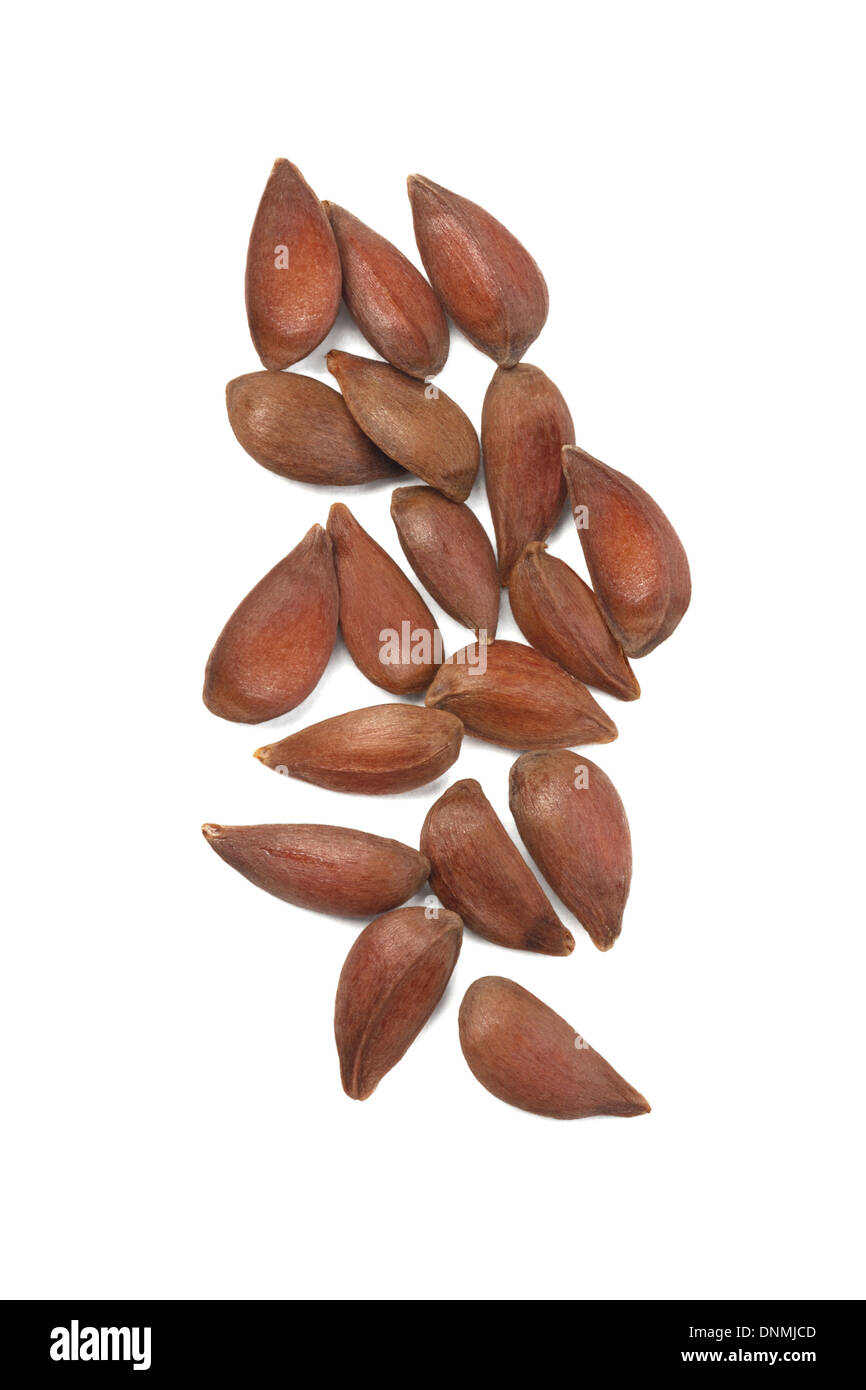 Apple seed hi-res stock photography and images - Alamy