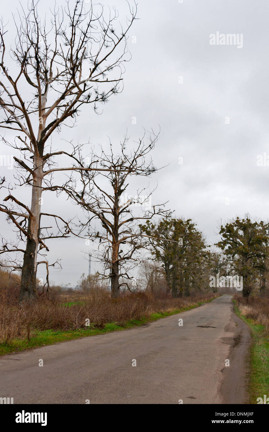 Old road landscape hi-res stock photography and images - Alamy