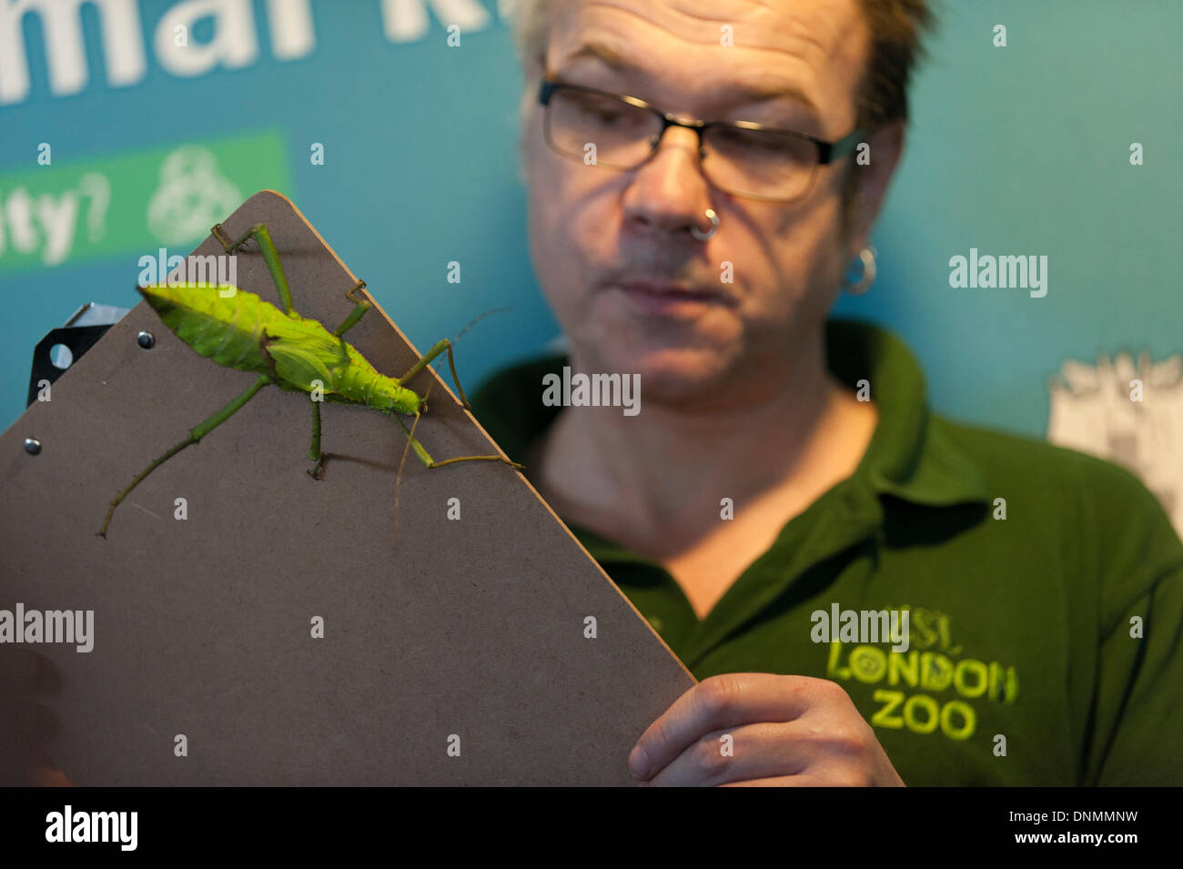 ZSL, London Zoo, Regents Park, UK. 2nd Jan, 2014 . The annual ISS ...