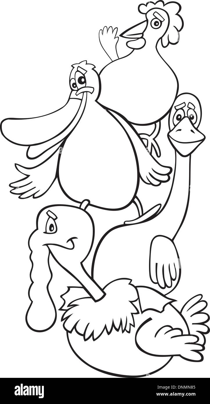 illustration of Farm birds for coloring book Stock Vector Image & Art ...
