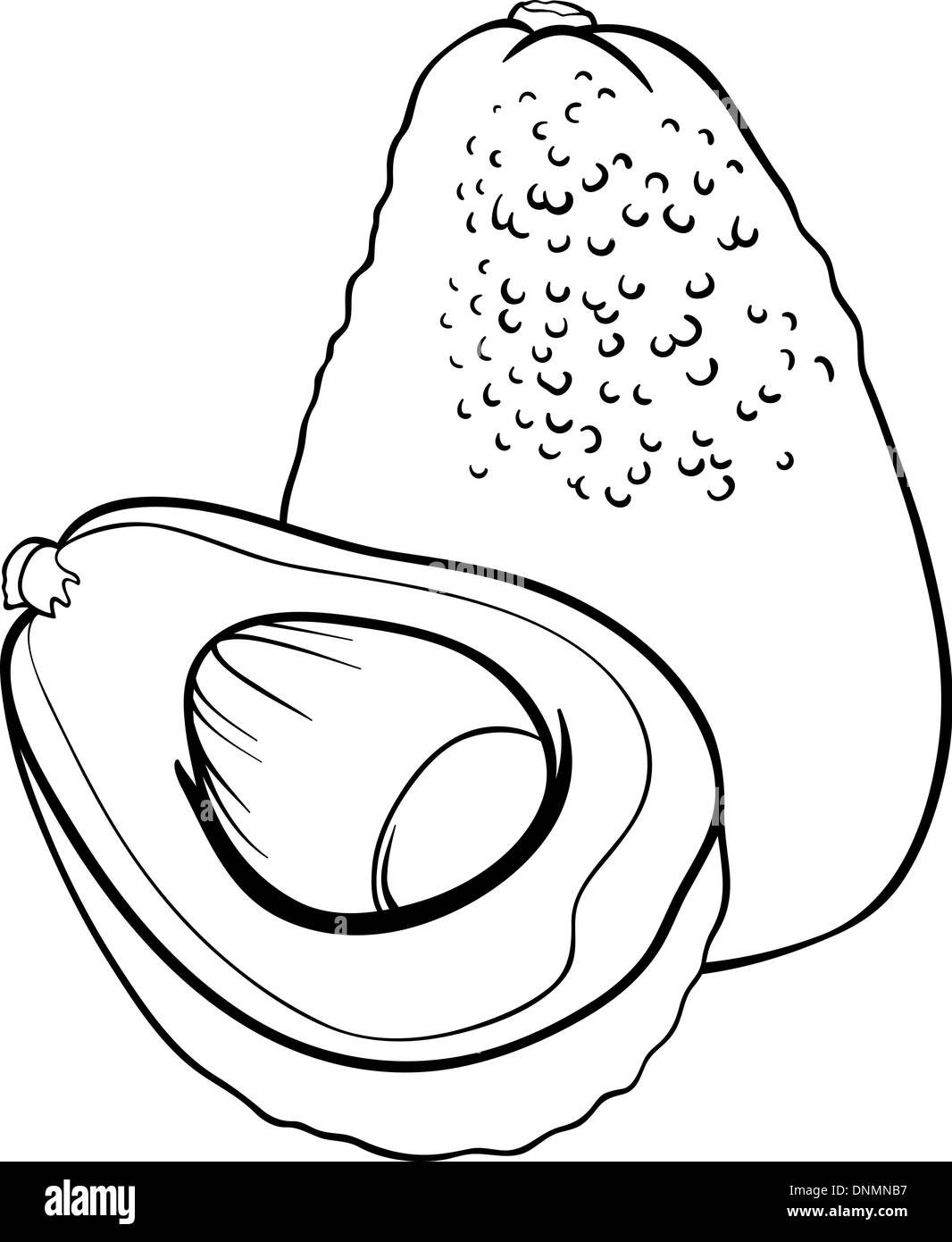 Black and White Cartoon Illustration of Avocado Fruit Food Object for ...